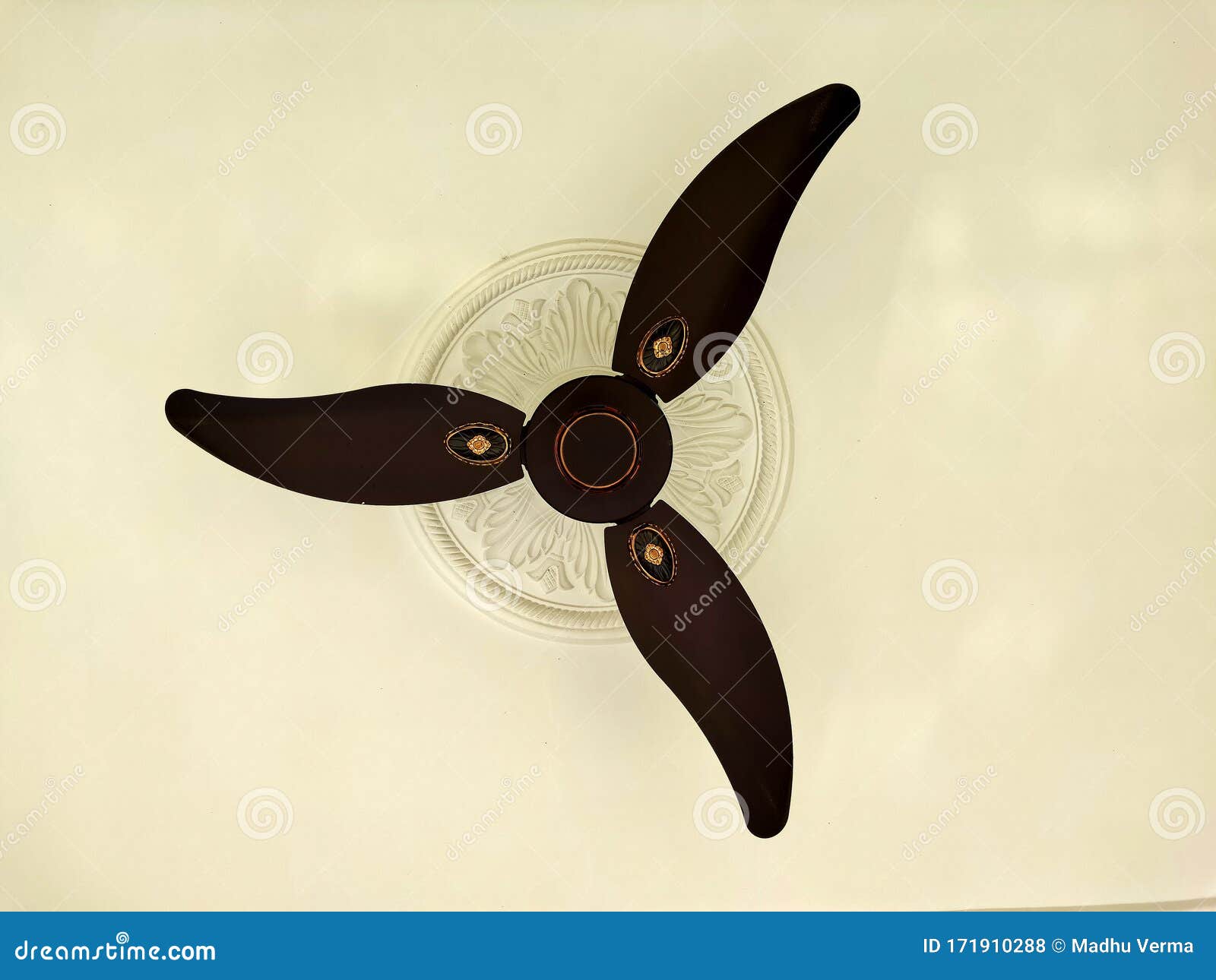 Three Bladed Ceiling Fan with Leaf Shaped Wings Stock Photo - Image of ...
