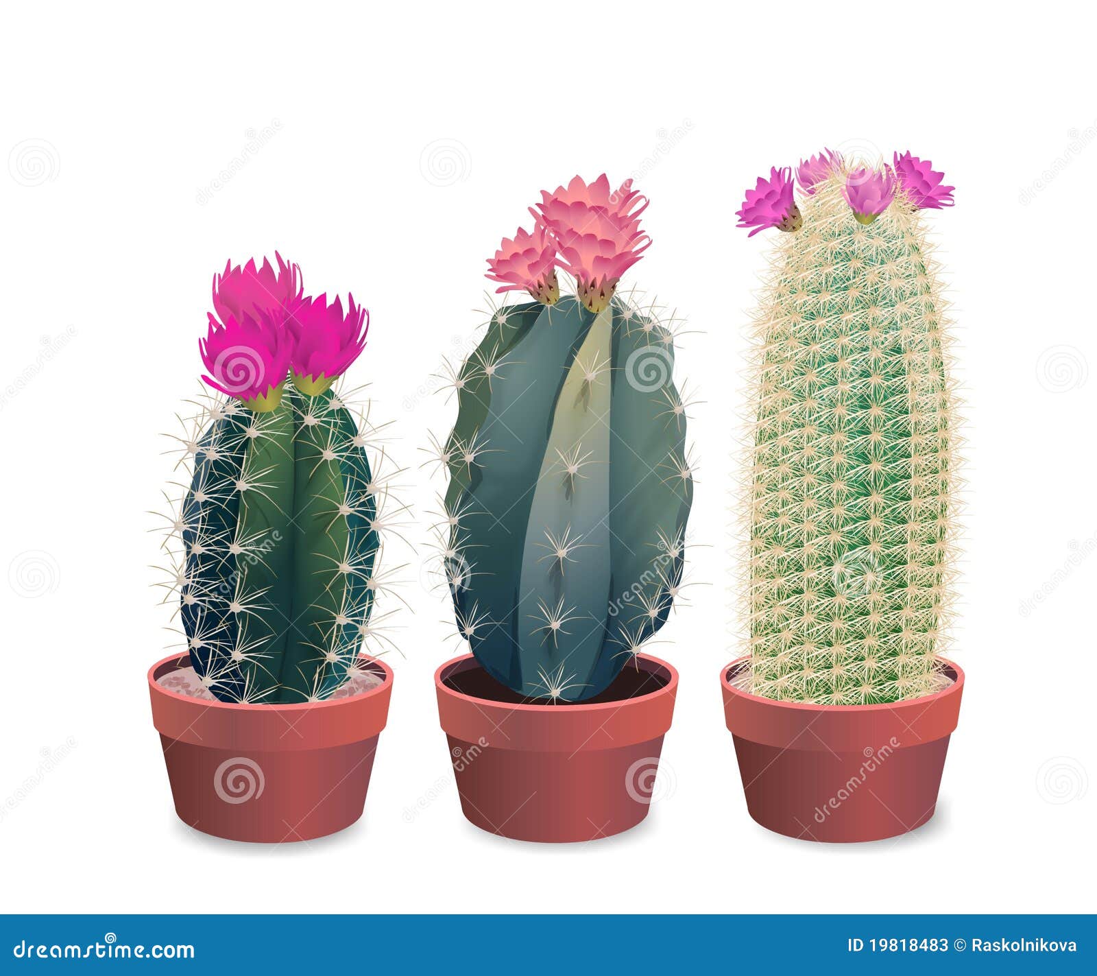 Three blooming cactuses stock illustration. Illustration of wire - 19818483