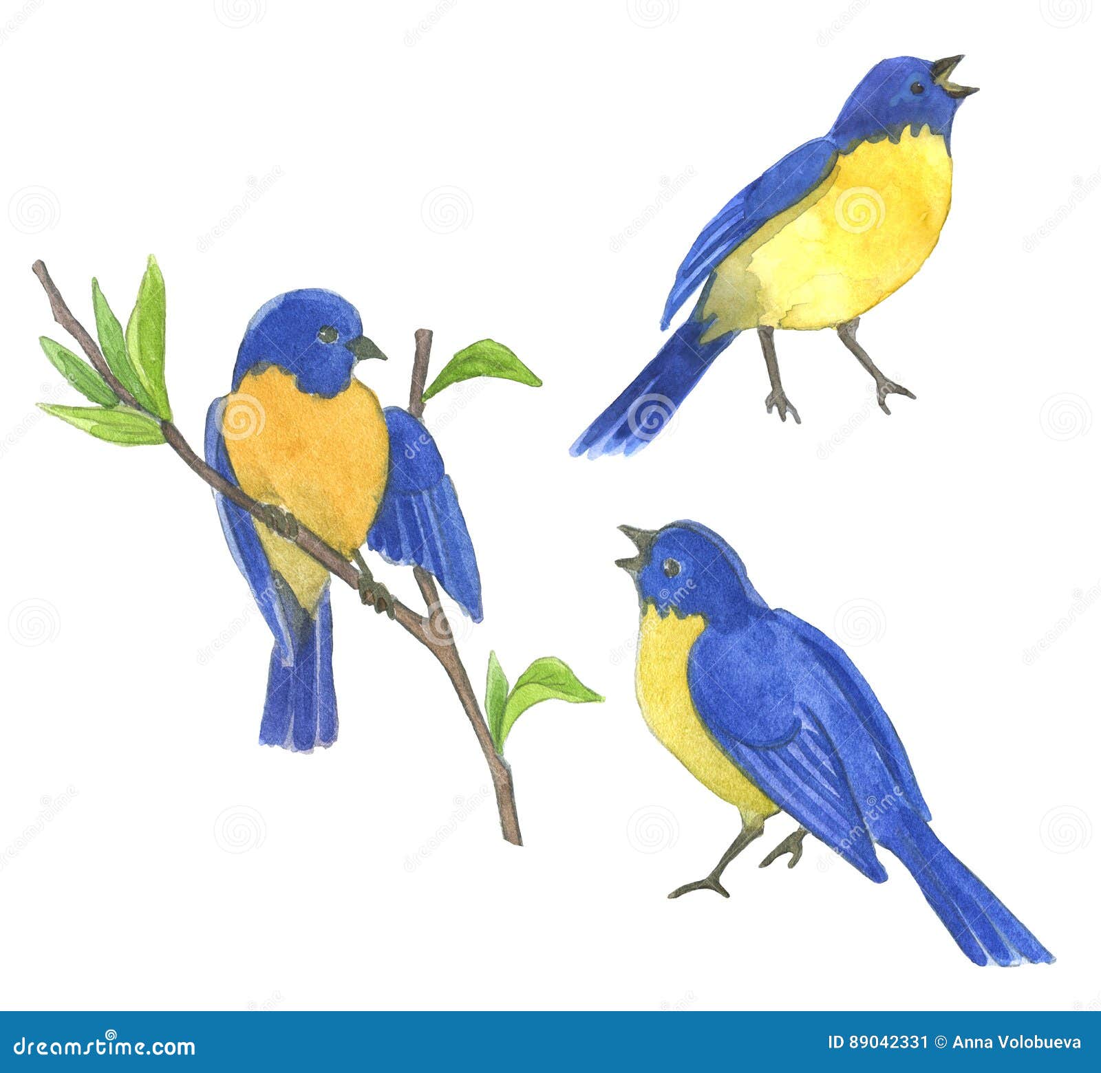 Three blue bird stock illustration. Illustration of cartoon - 89042331