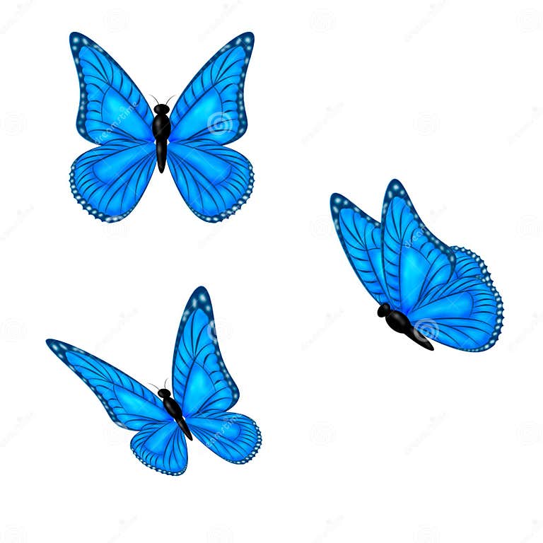 Three blue Butterflies stock illustration. Illustration of nature ...