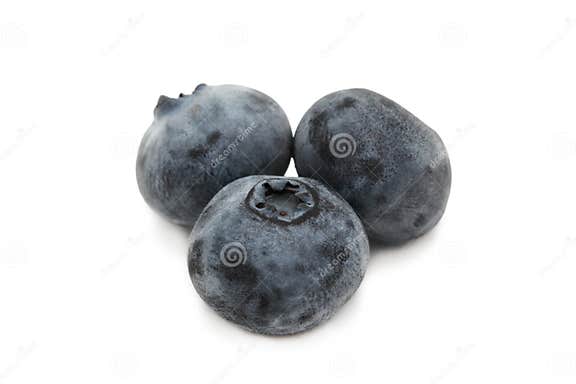 Three blueberries stock image. Image of nutrition, flavour - 28341881