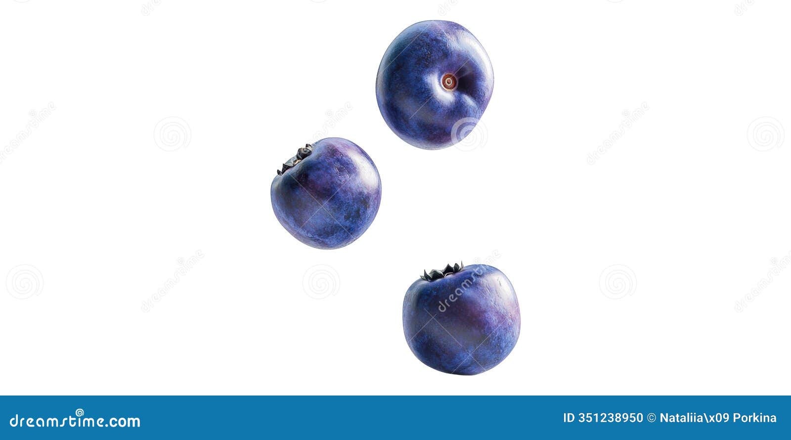 Three Blueberries in Different Positions Isolated on Transparent ...