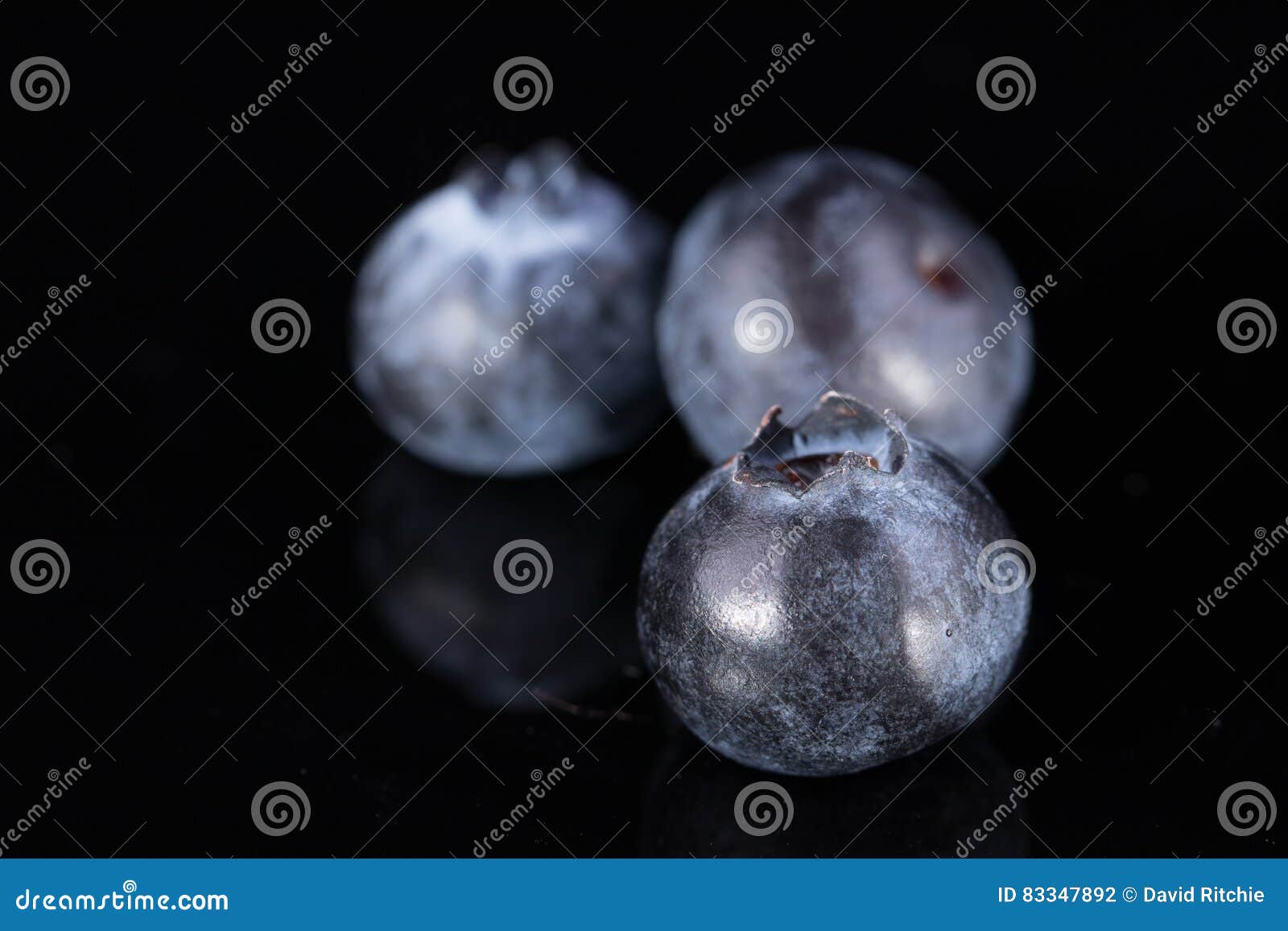 Three Blueberries Isolated on Black Stock Photo - Image of blueberry ...
