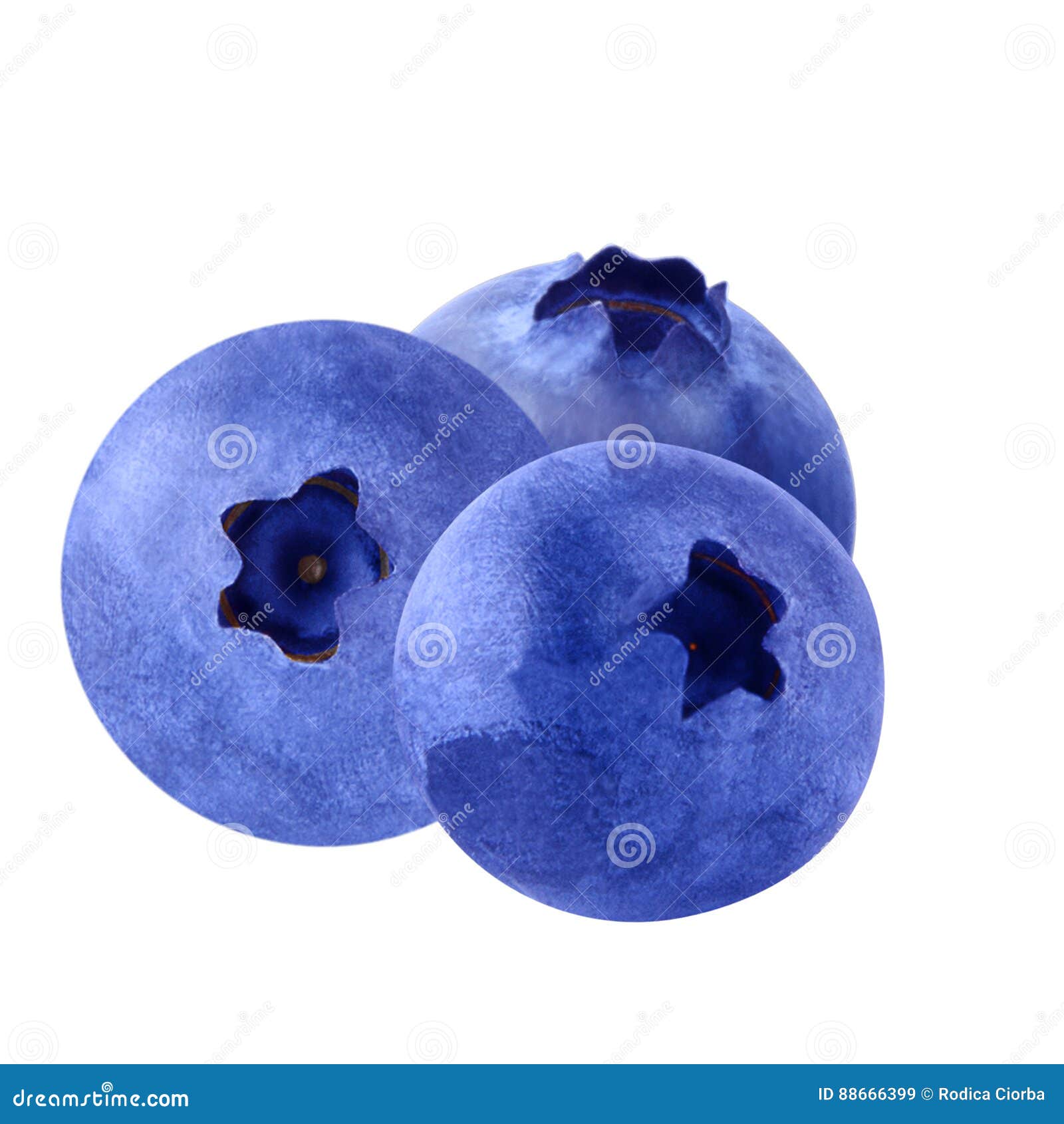 Three Blueberries Isolated on White Background Stock Image - Image of ...
