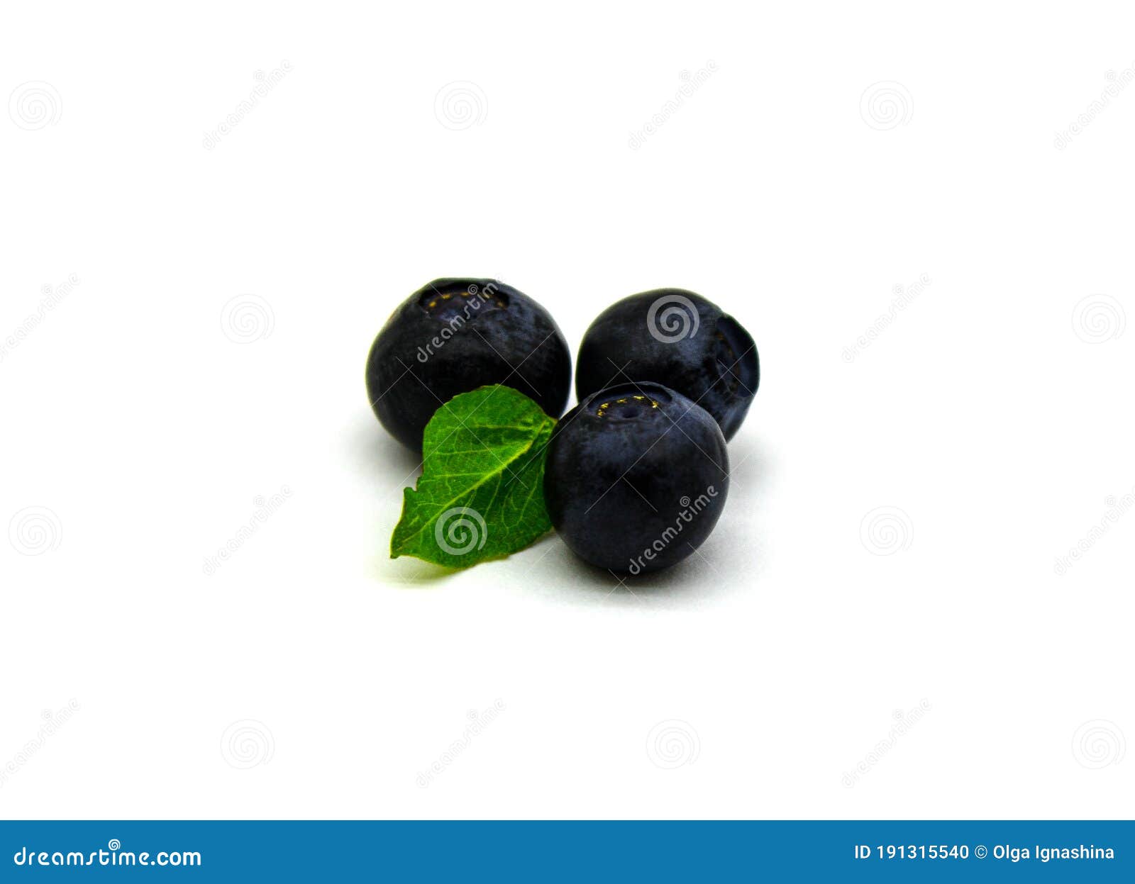 Three Blueberries with a Leaf Stock Photo - Image of summer, green ...