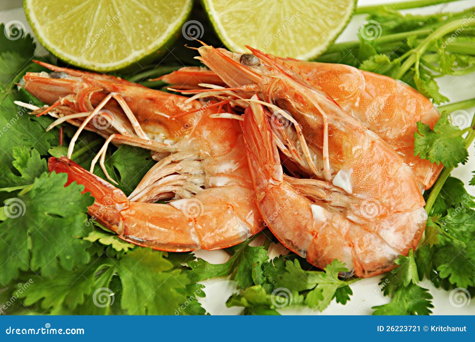 Three boiled prawns stock image. Image of background - 26223721