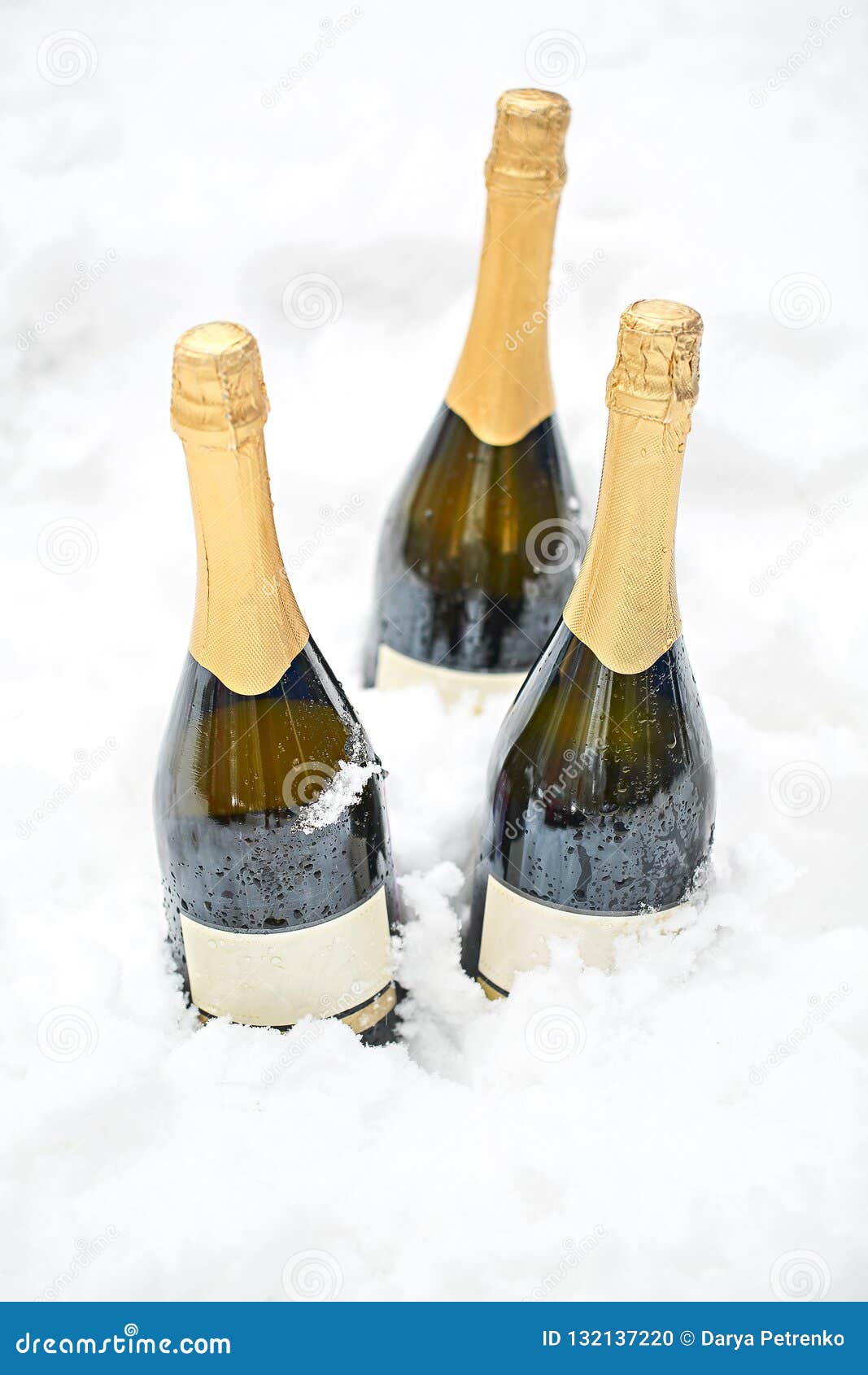 Three Bottles of Champagne in the Snow Stock Photo - Image of natural ...