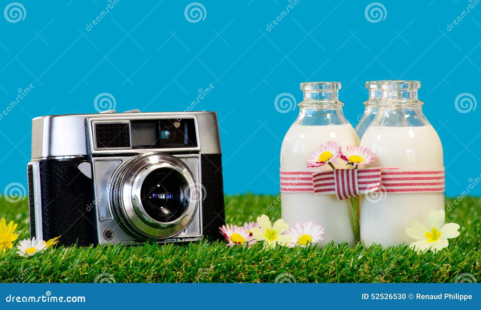 Three Bottles of Milk with a Camera in the Grass Stock Photo - Image of ...