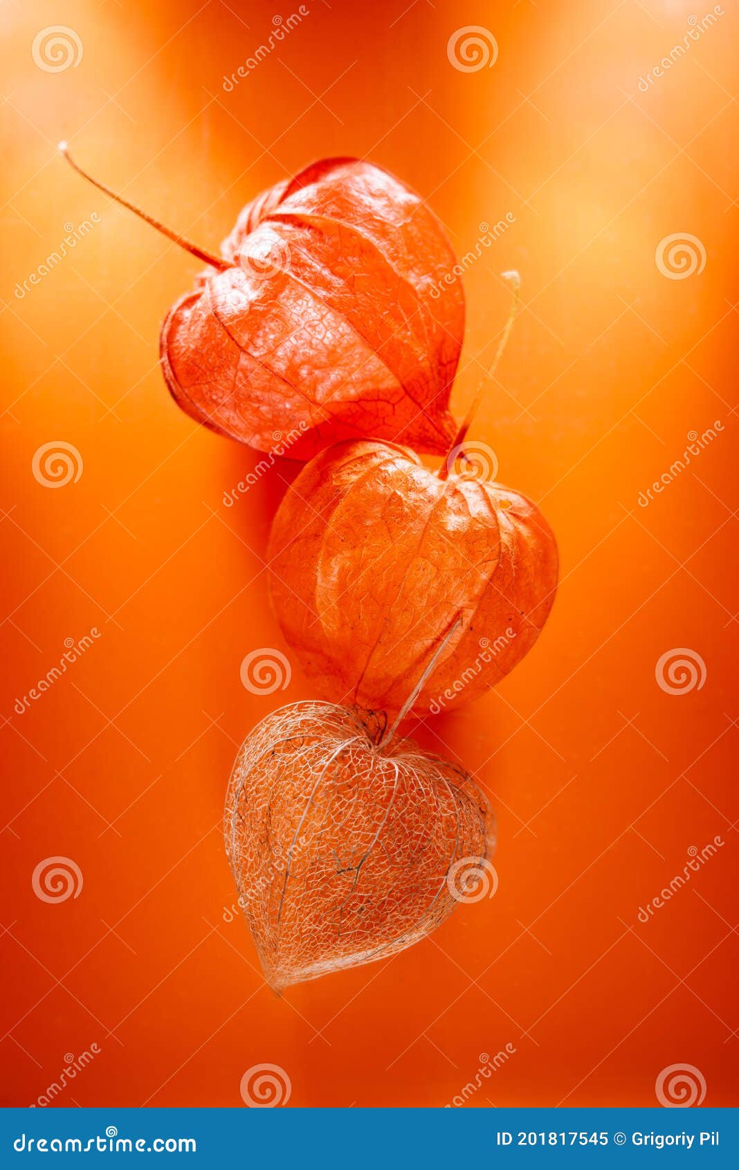 Three Boxes from the Fruit of Physalis Stock Image - Image of abstract ...