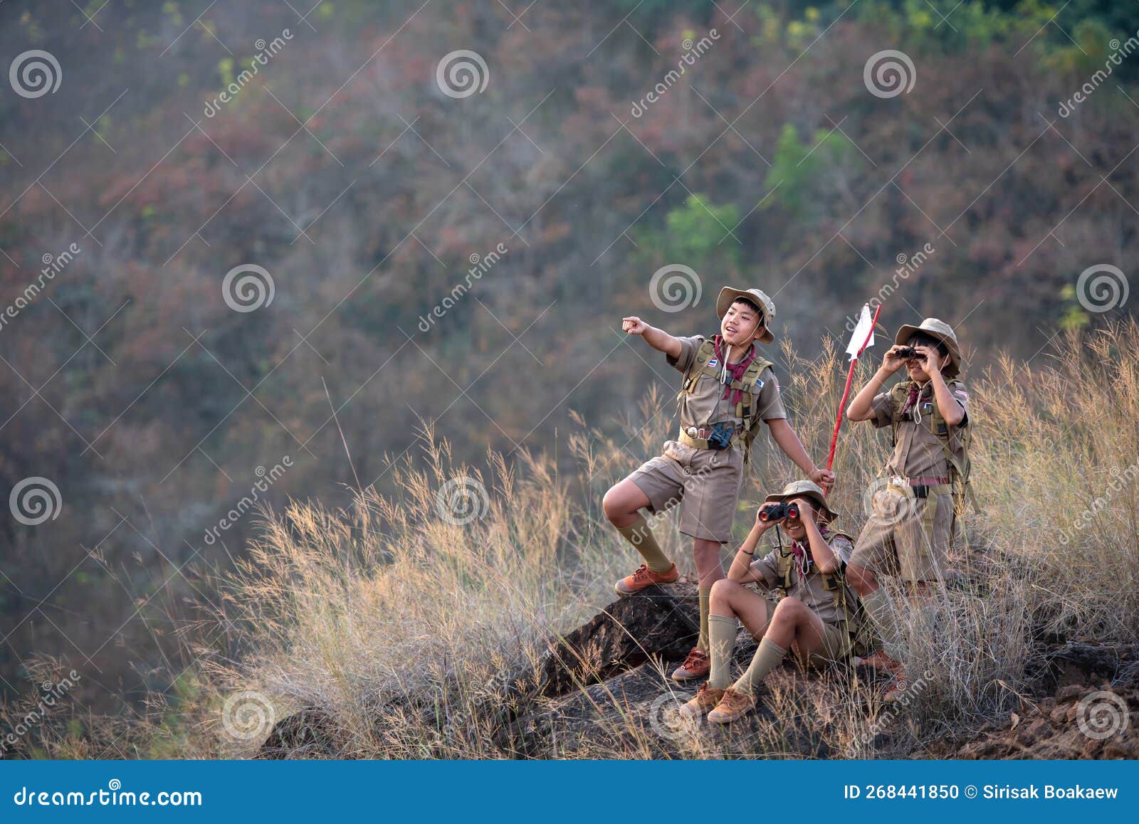 Three Boy Scouts Exploring Nature Stock Photo - Image of examining ...