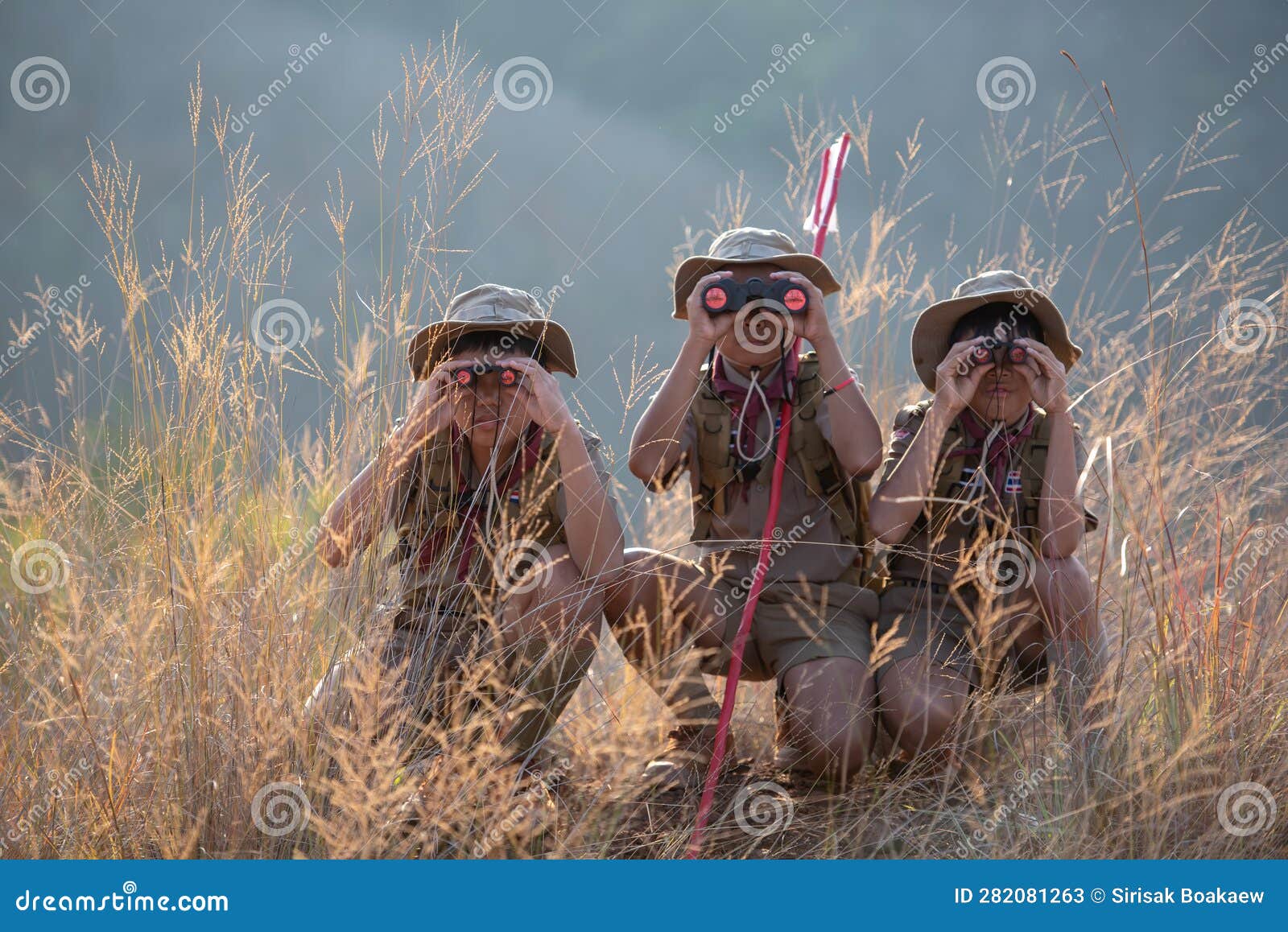 Three Boy Scouts Exploring Nature Stock Image - Image of camping, honor ...