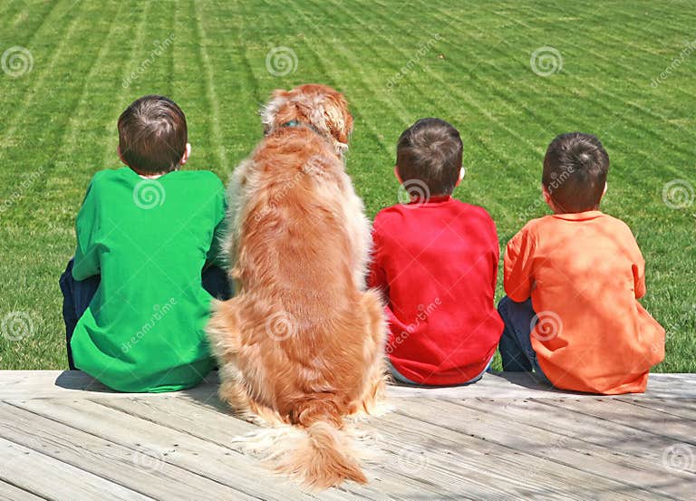 Three Boys and a Dog stock image. Image of animal, friendship - 4934943