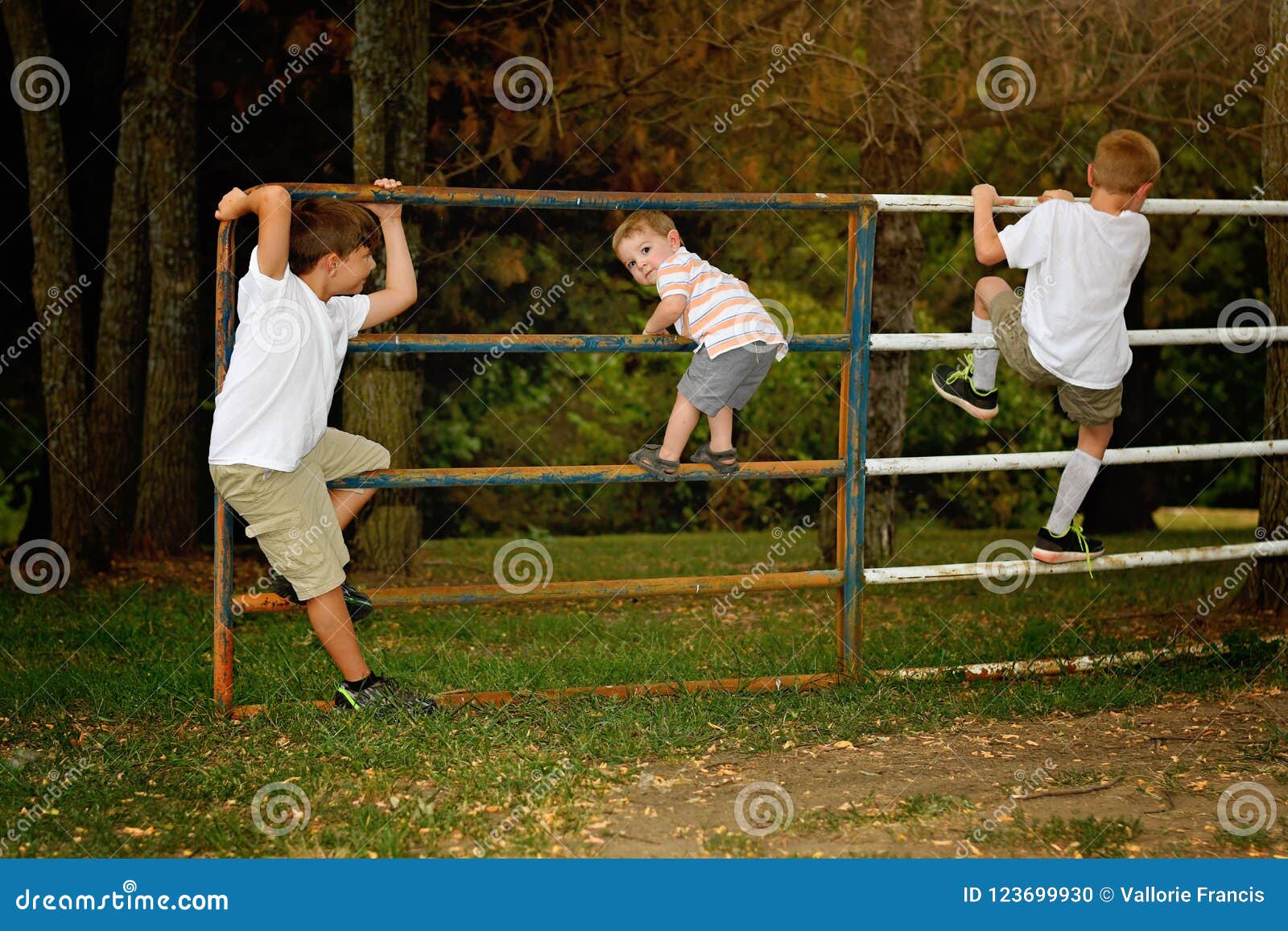 Three boys on gate stock photo. Image of climbing, painted - 123699930