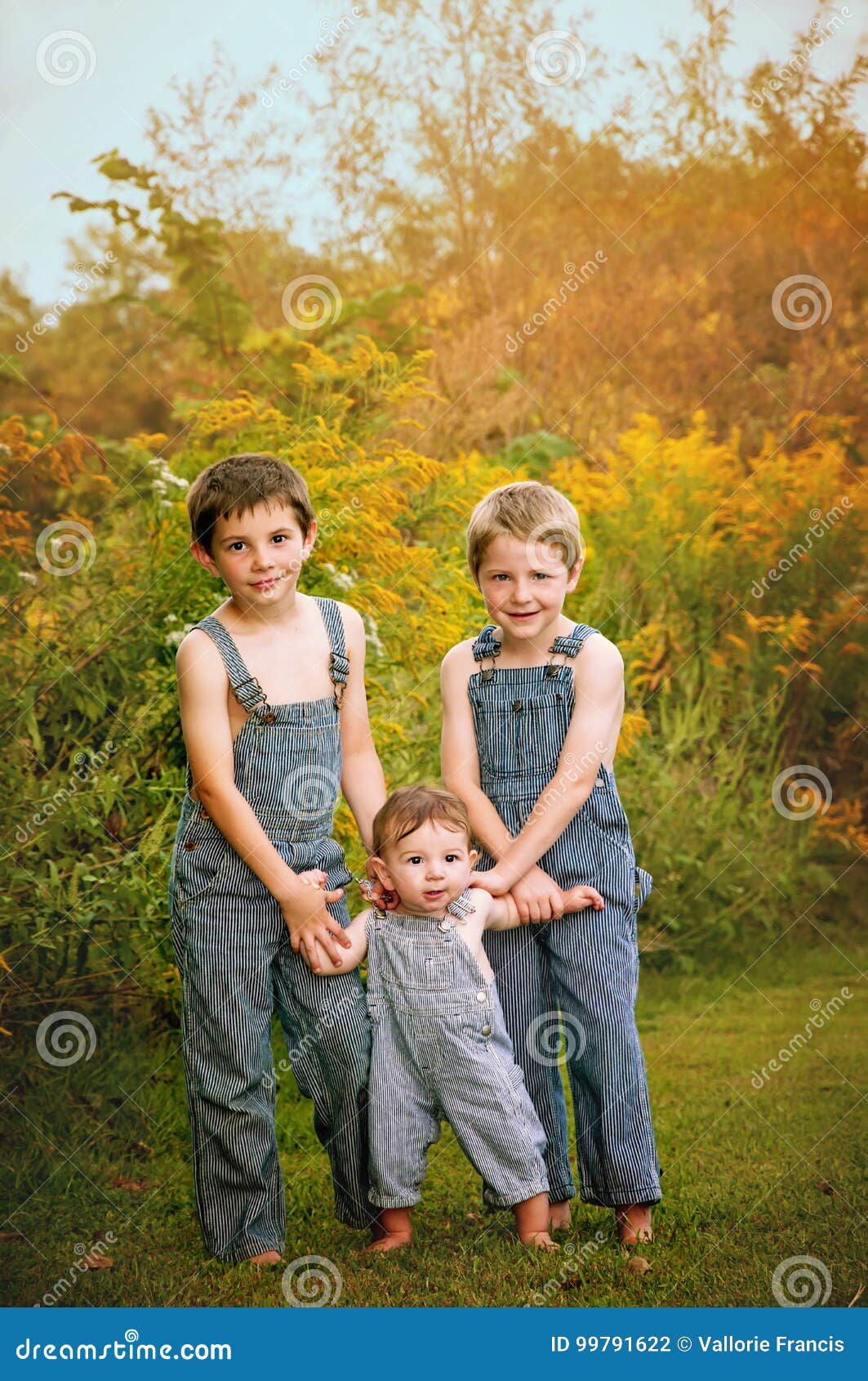 Three Boys Standing Autumn Portrait Stock Photo - Image of standing ...