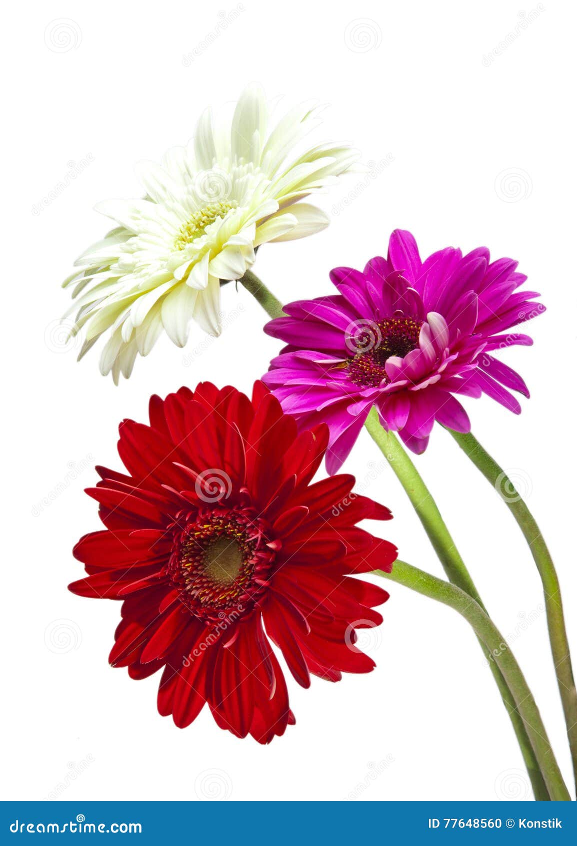 Three Bright Flowers. Gerbera Stock Photo - Image of bouquet, vibrant ...