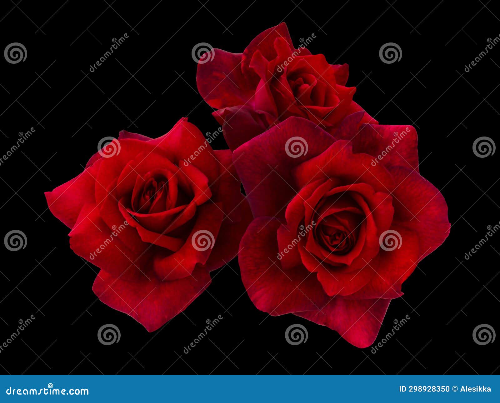 Three Bright Red Roses on Black Background Stock Photo - Image of ...