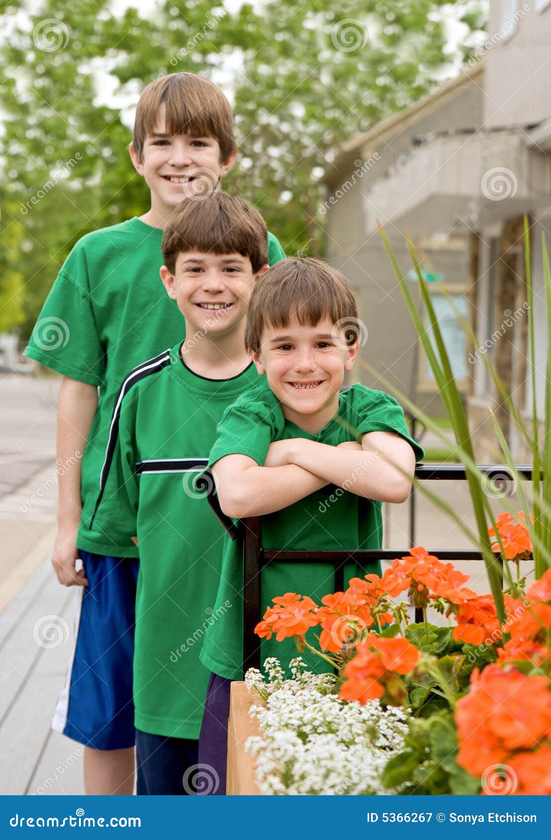 Three Brothers in Green stock image. Image of field, cheerful - 5366267