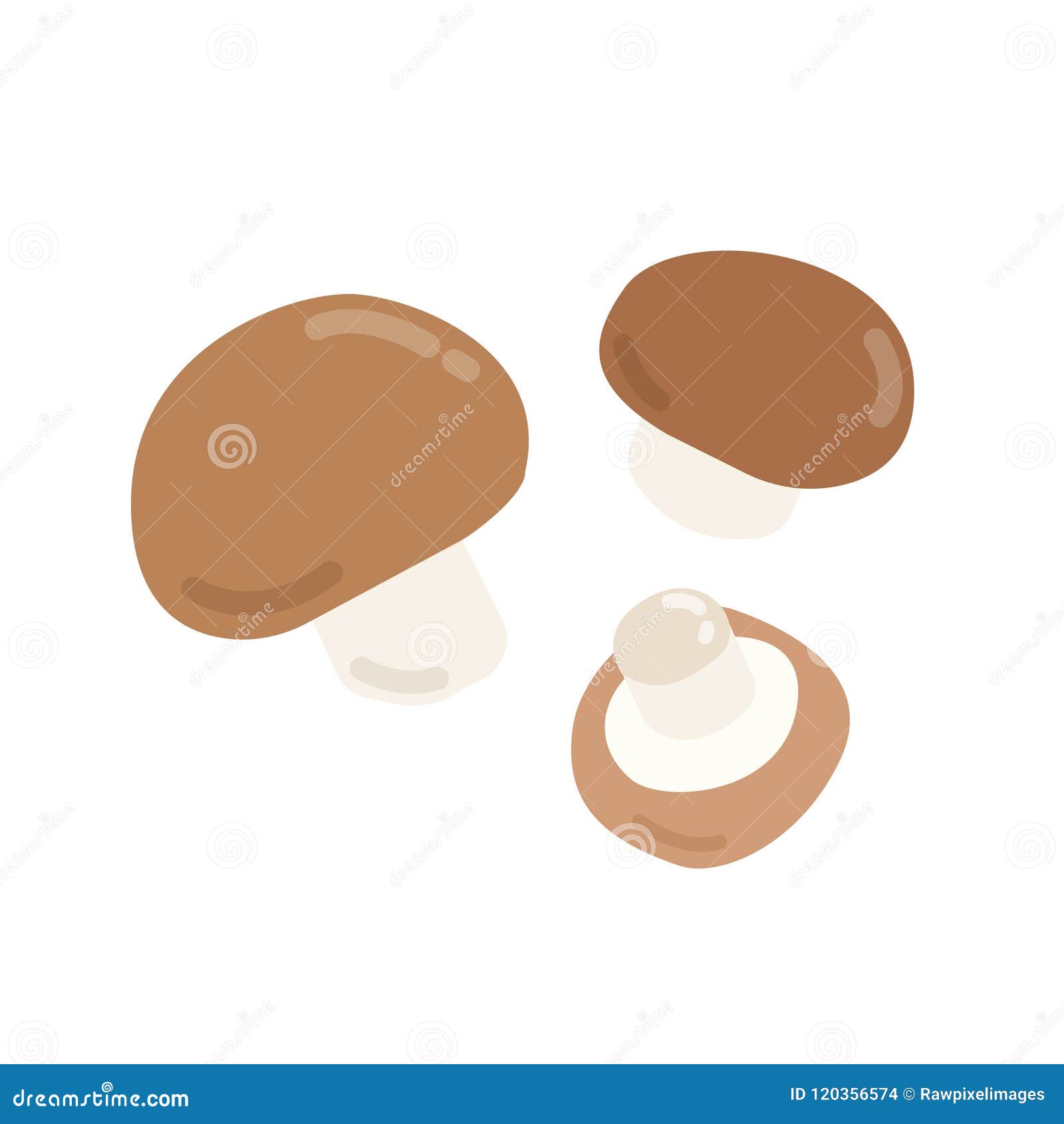 Three Brown Mushrooms Graphic Illustration Stock Vector - Illustration ... Three Brown Mushrooms Graphic Illustration Stock Vector - Illustration ...