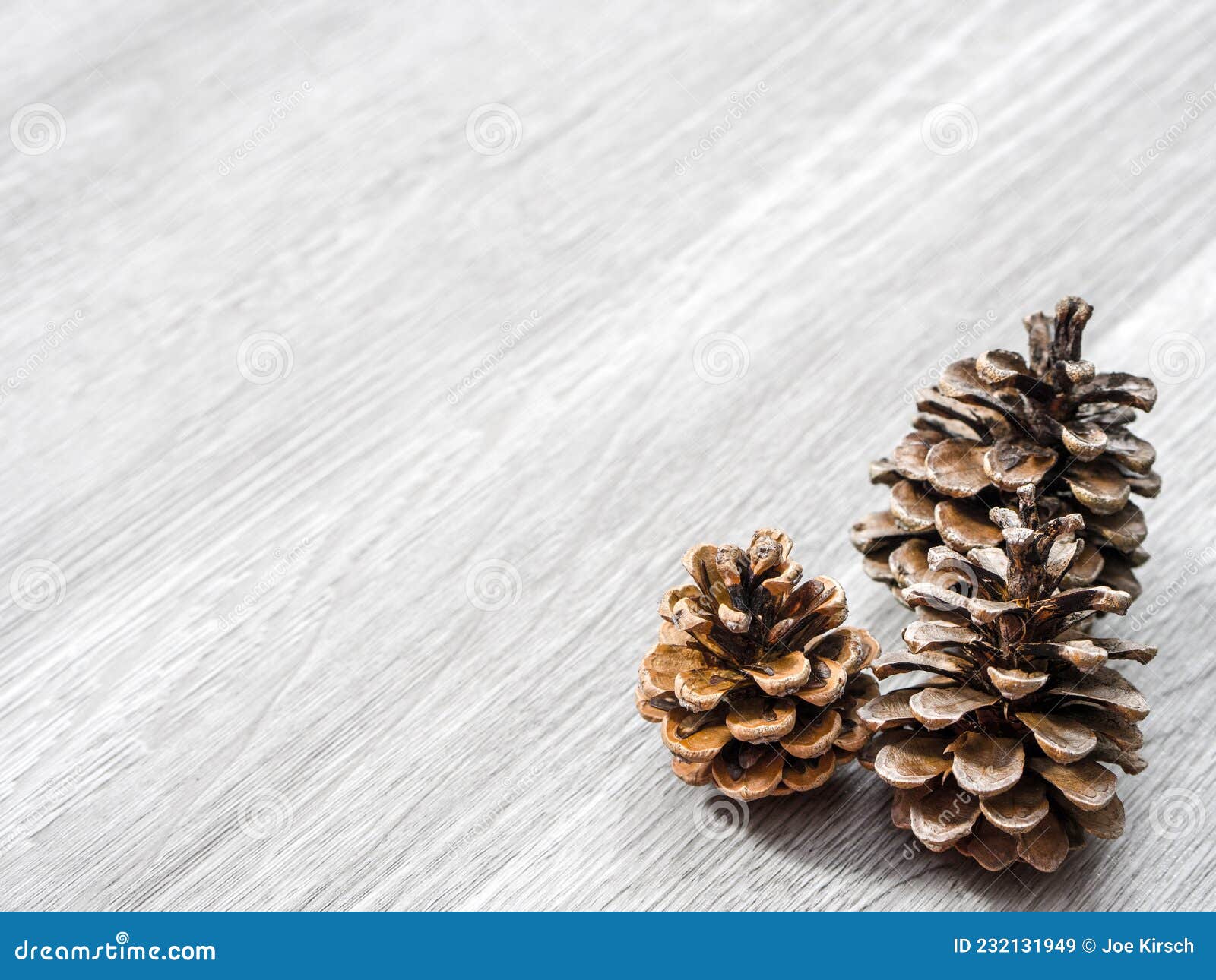 Three Brown Pine Cones Laying in the Corner of Image and Isolated on a ...