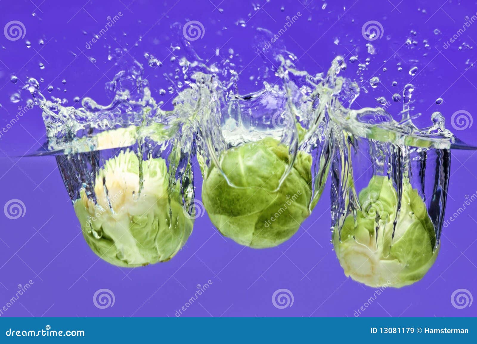 241 Sprouts Falling Stock Photos - Free & Royalty-Free Stock Photos ...