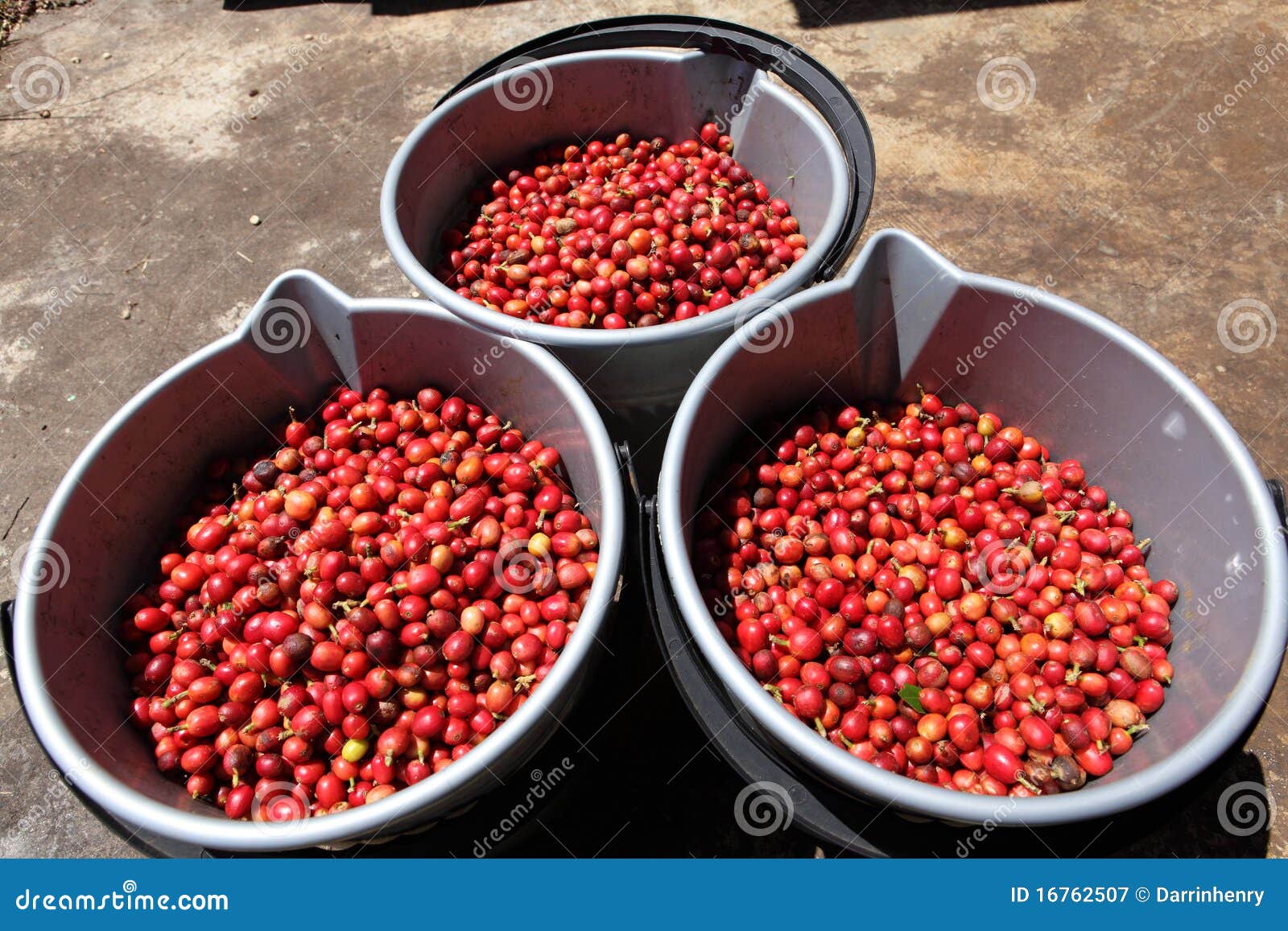 Three Buckets On A White Background With Striped Red And White Straws ...