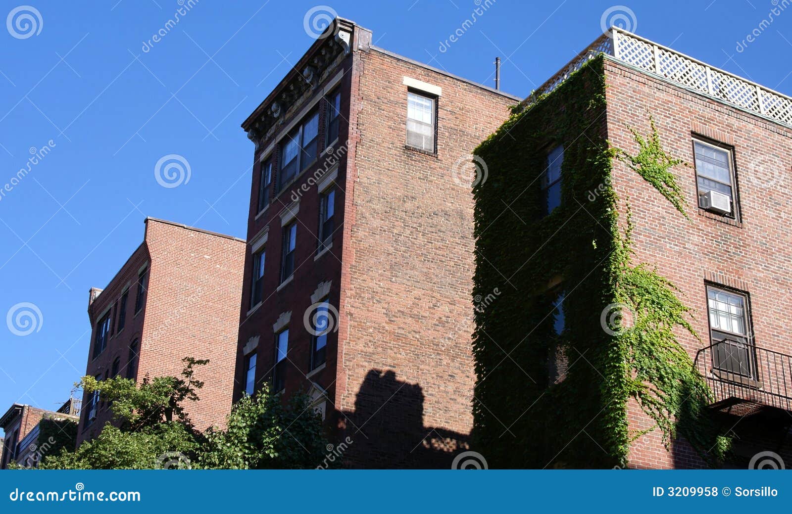 Three buildings stock photo. Image of windows, boston - 3209958