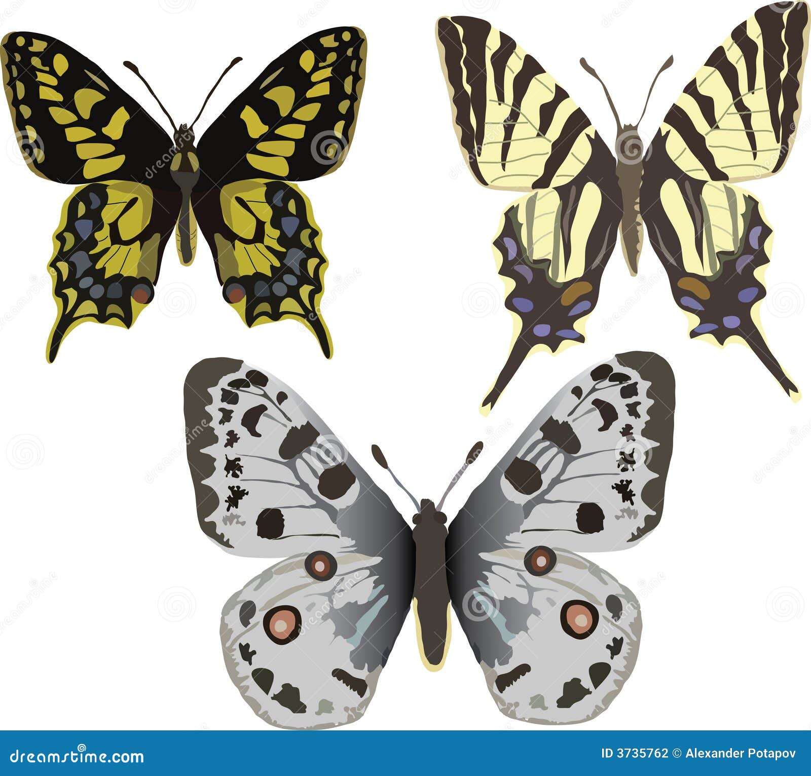 Three butterflies stock vector. Illustration of macro - 3735762