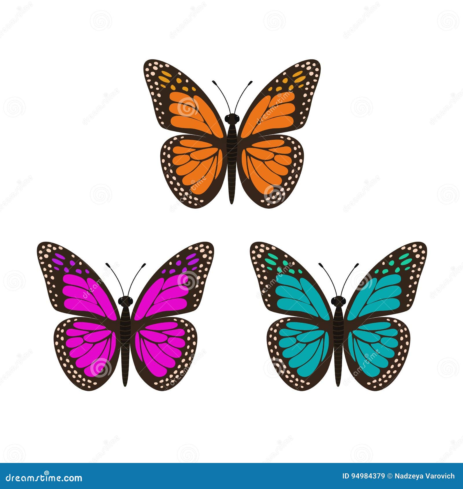 Three butterflies set. stock vector. Illustration of classic - 94984379