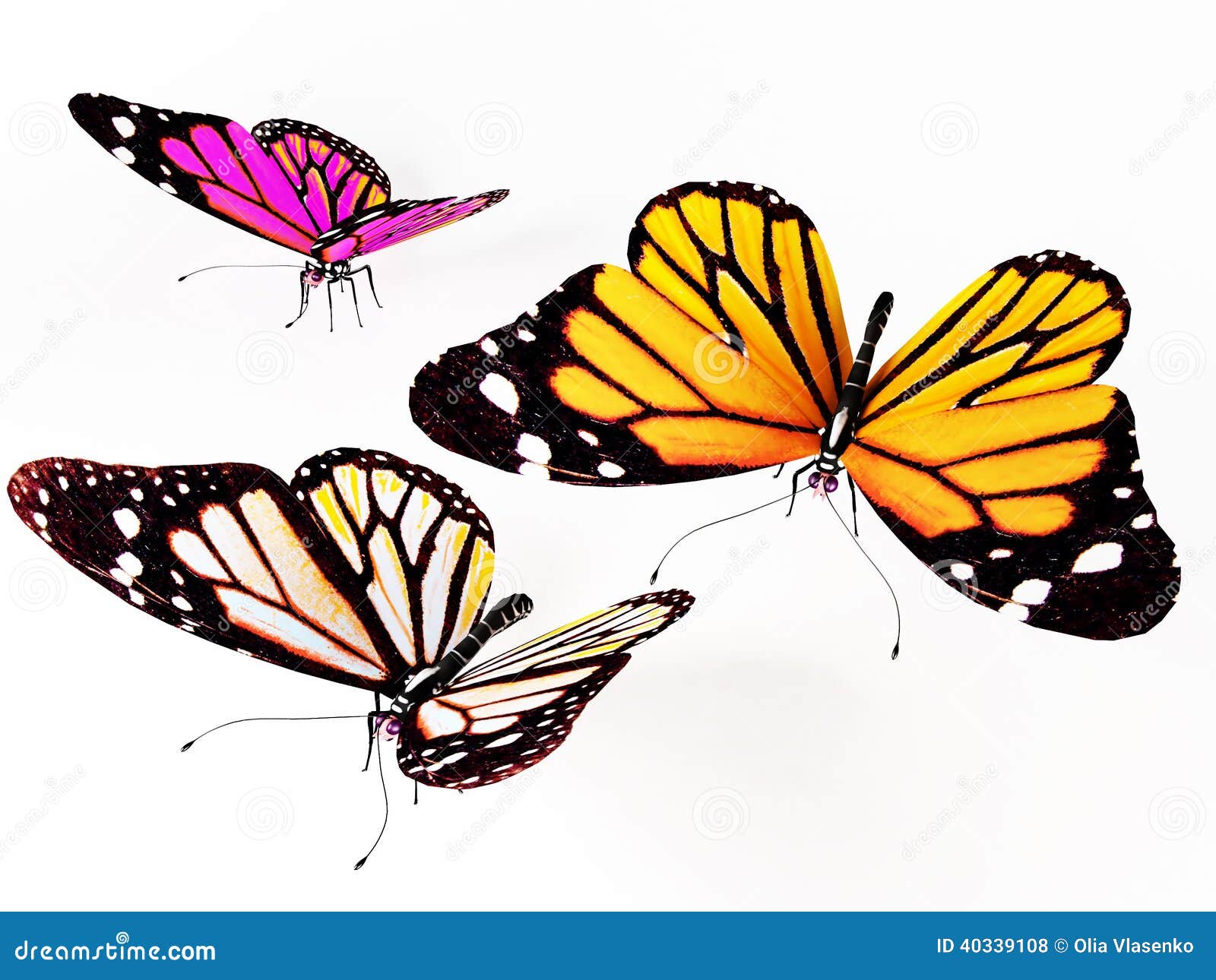 Three butterflies stock illustration. Illustration of rain - 40339108
