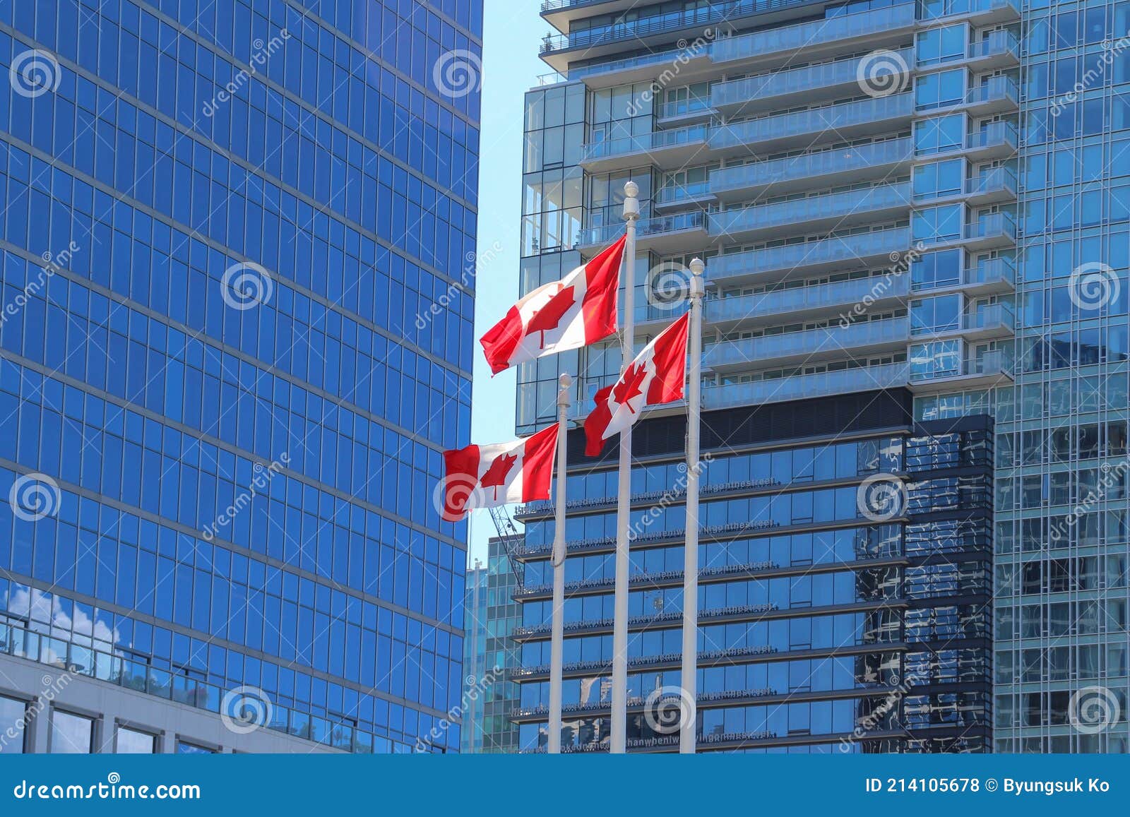 Three Canadian National Flags in the City Stock Photo - Image of ...