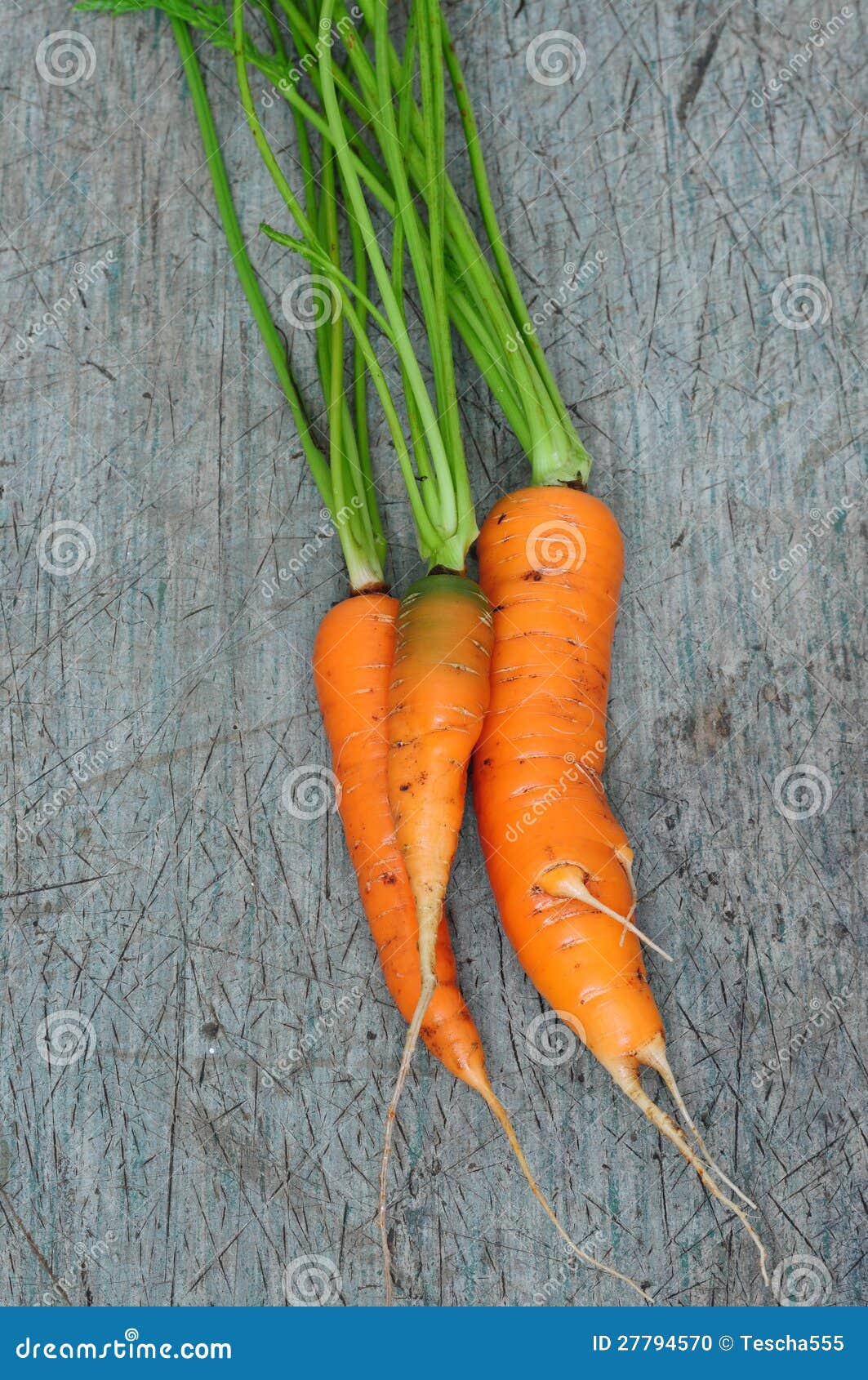 Three carrots stock photo. Image of produce, grey, organic - 27794570
