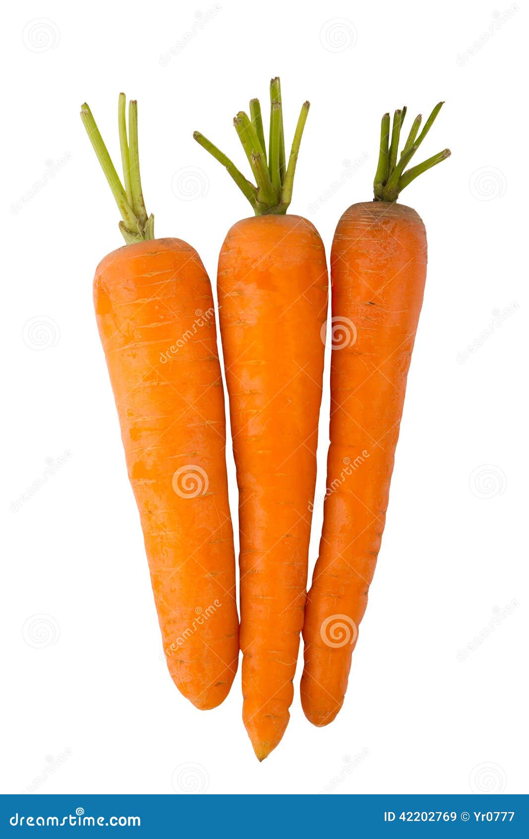 Three Carrots Isolated White Background Stock Image - Image of ...
