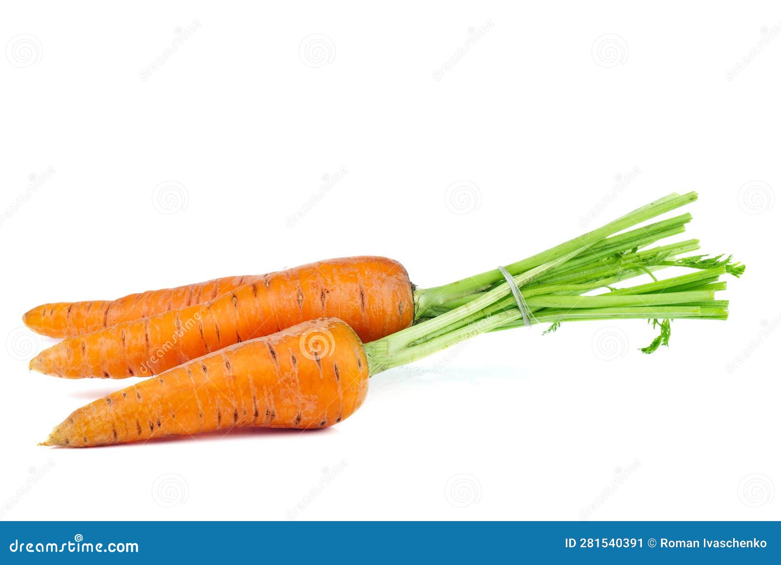 Three Carrots with Leaves Isolated on White Stock Image - Image of ...
