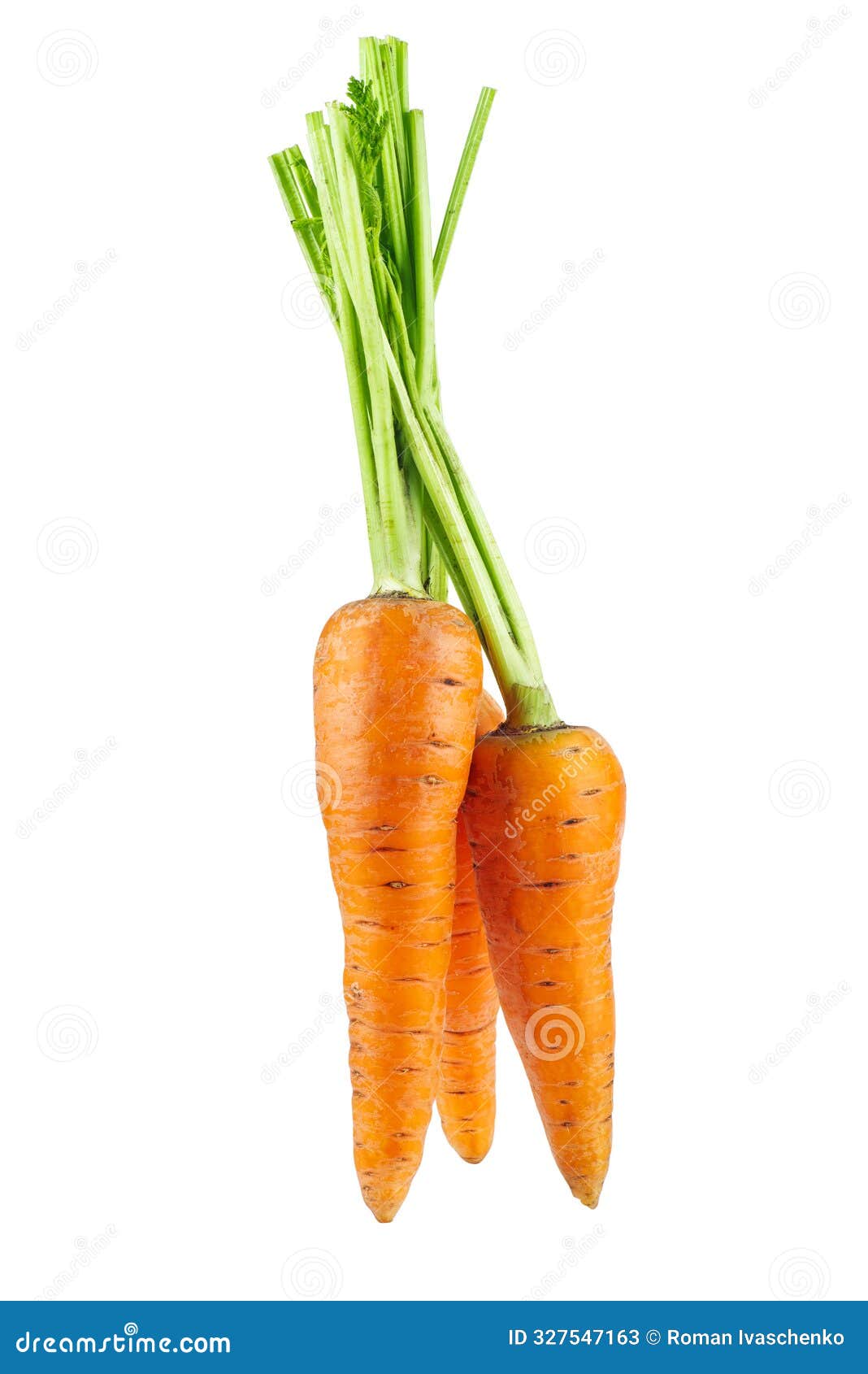 Three Carrots with Leaves Isolated on White Stock Image - Image of ...