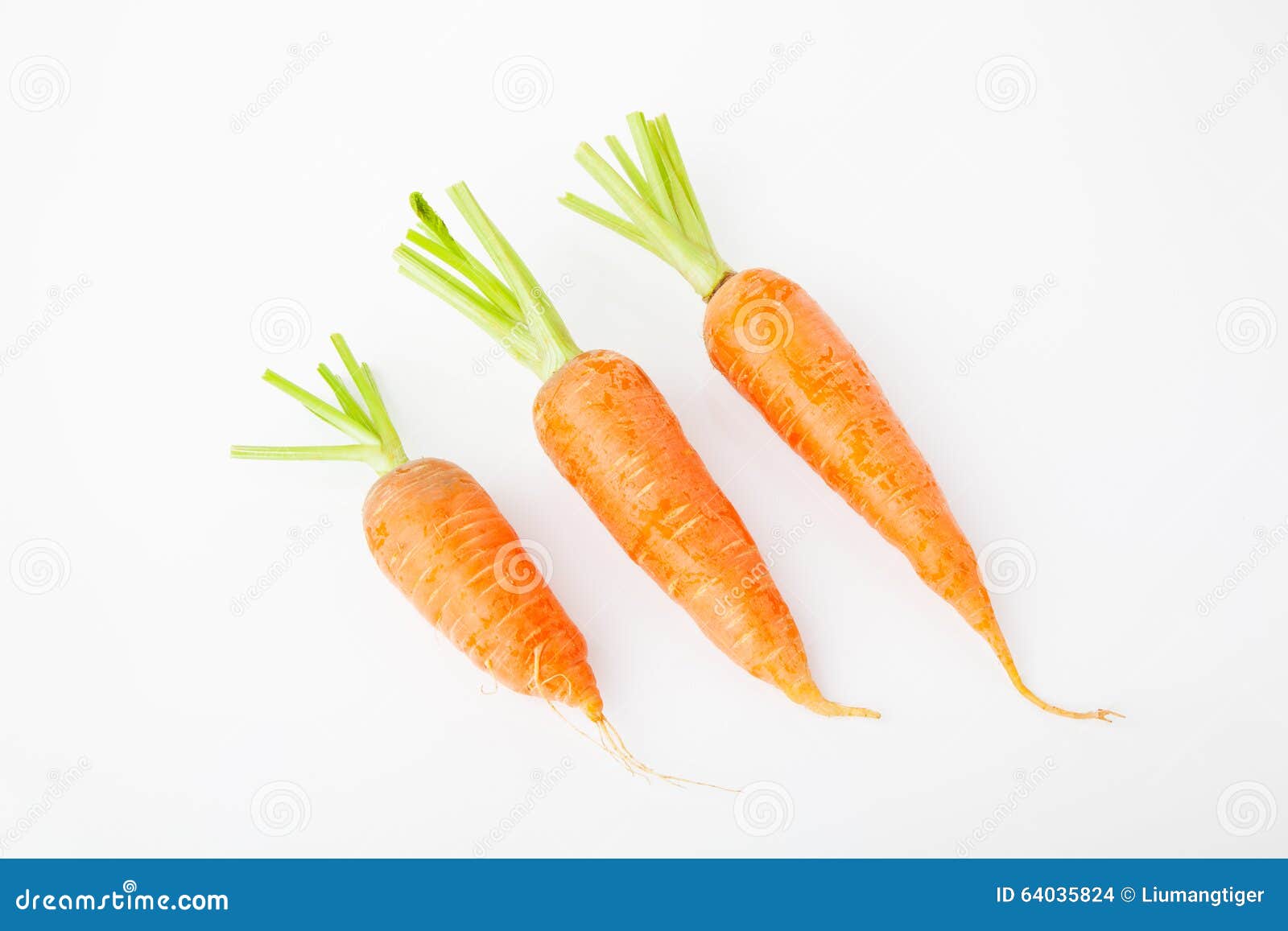 Three Carrots in White Background Stock Photo - Image of vitamine ...