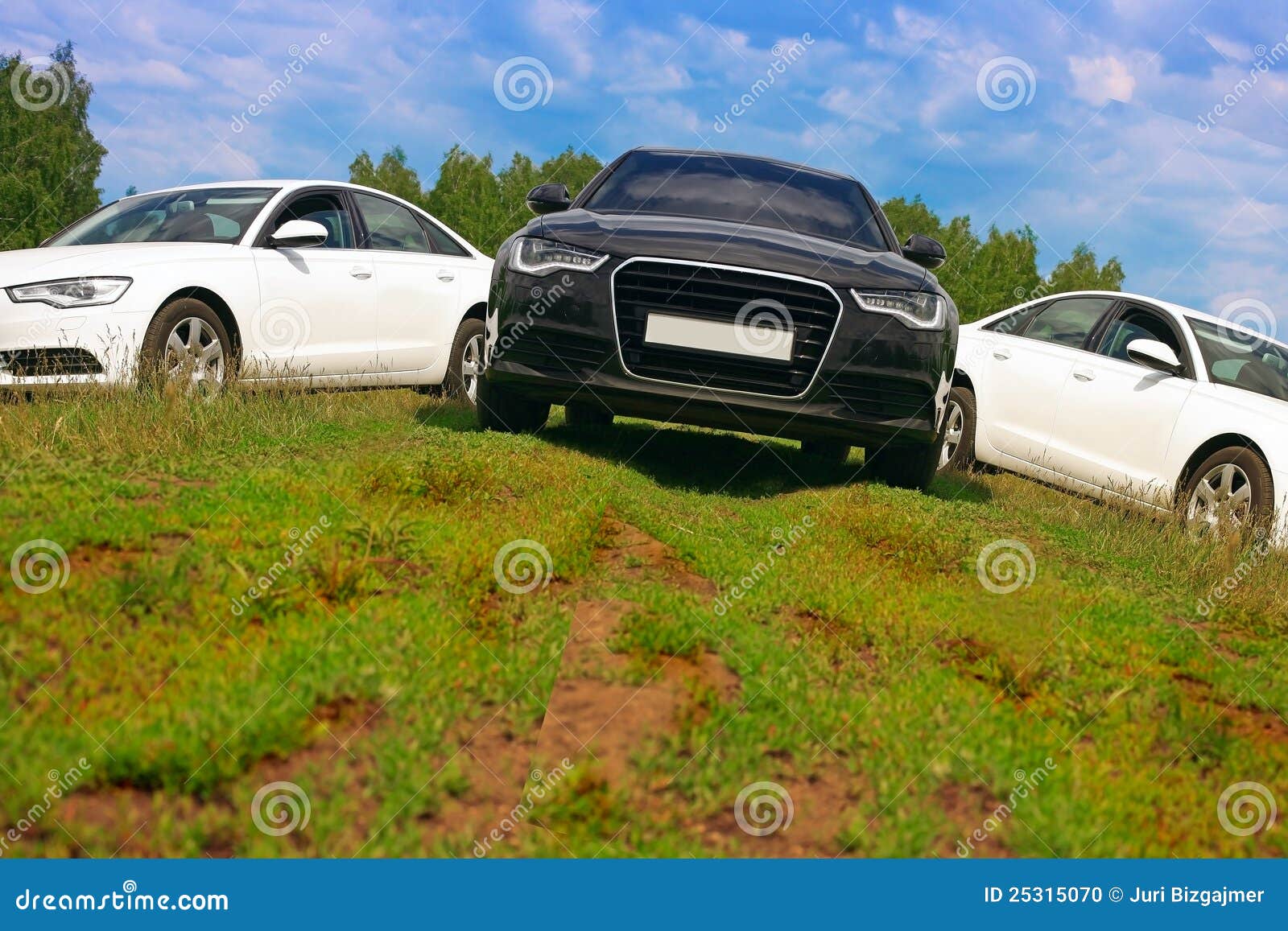 Three cars on nature stock photo. Image of scene, speed - 25315070