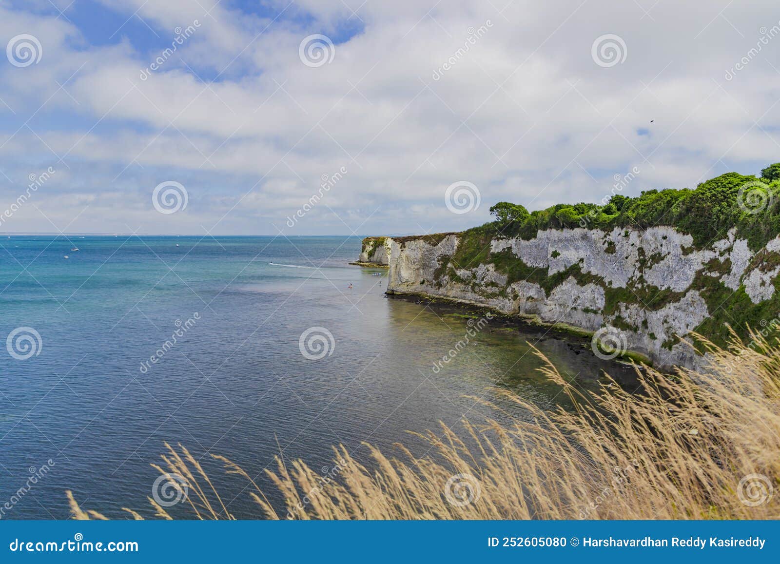 Old Harry Rocks stock photo. Image of calm, arch, color - 252605080
