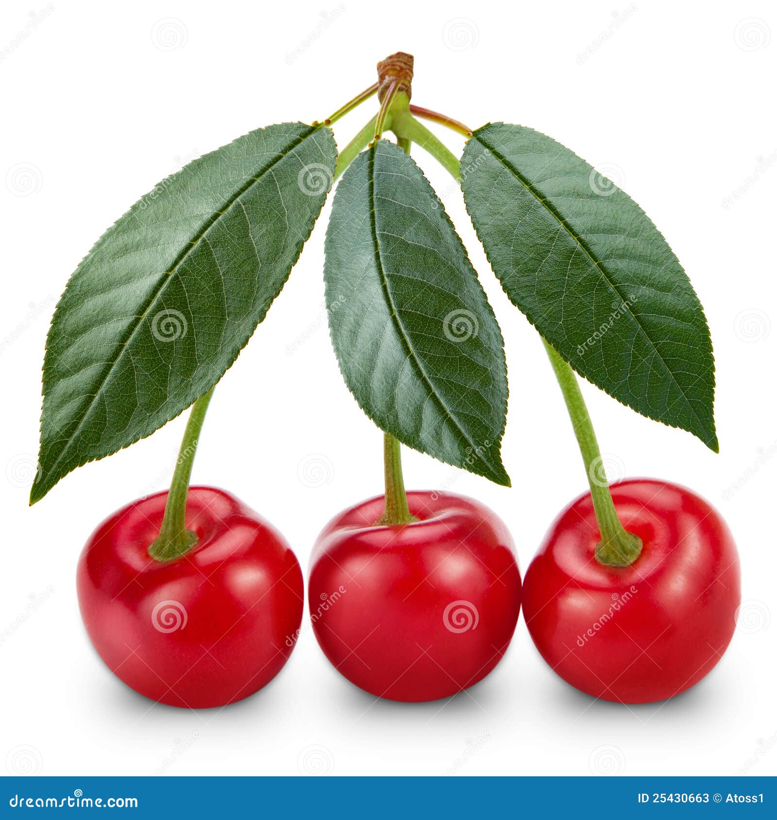 Three cherries stock image. Image of shaped, heart, refreshment - 25430663