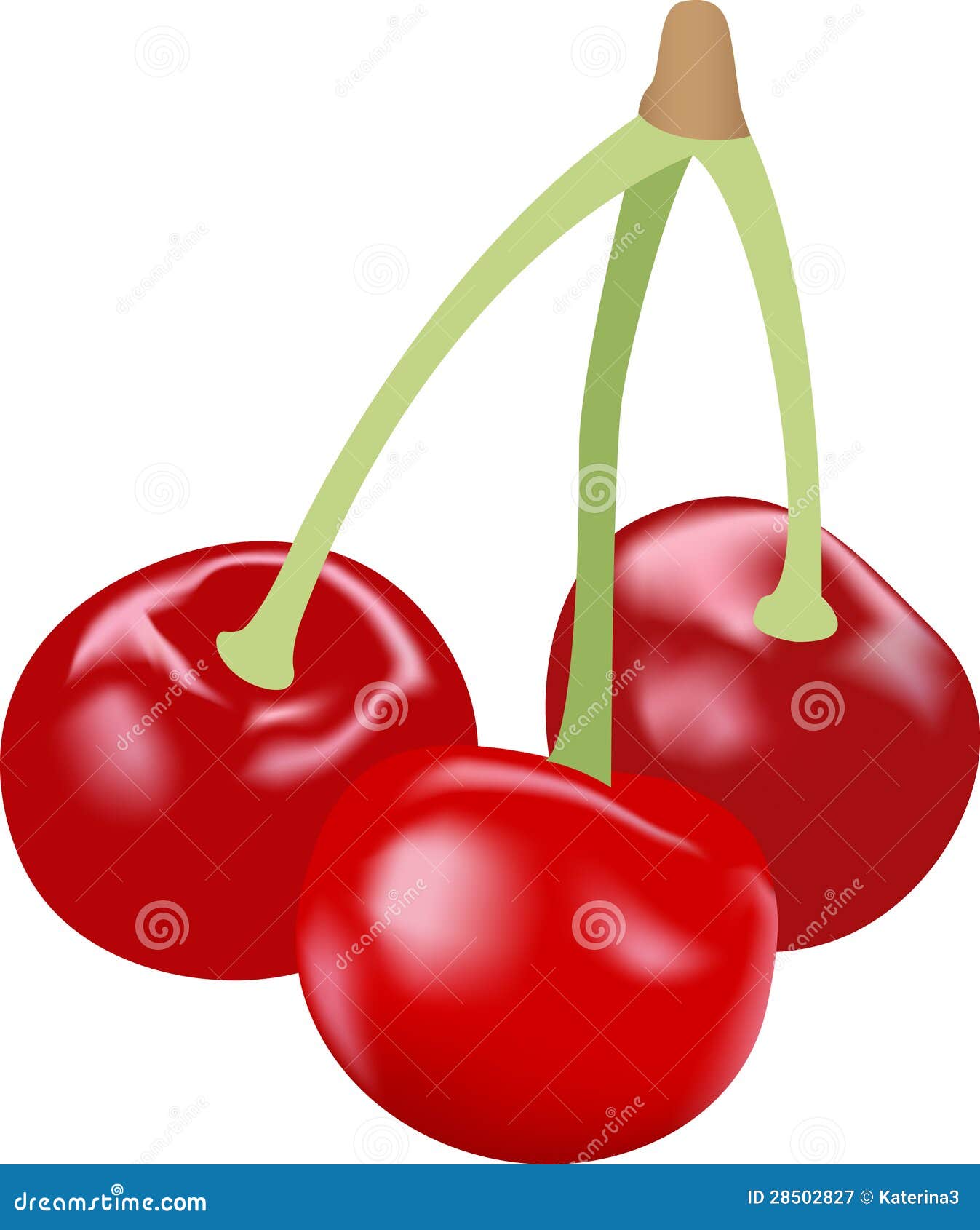 Three Cherries stock illustration. Illustration of summer - 28502827