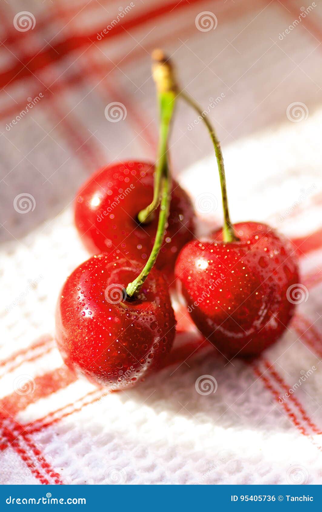 Three cherries closeup stock photo. Image of three, dessert - 95405736