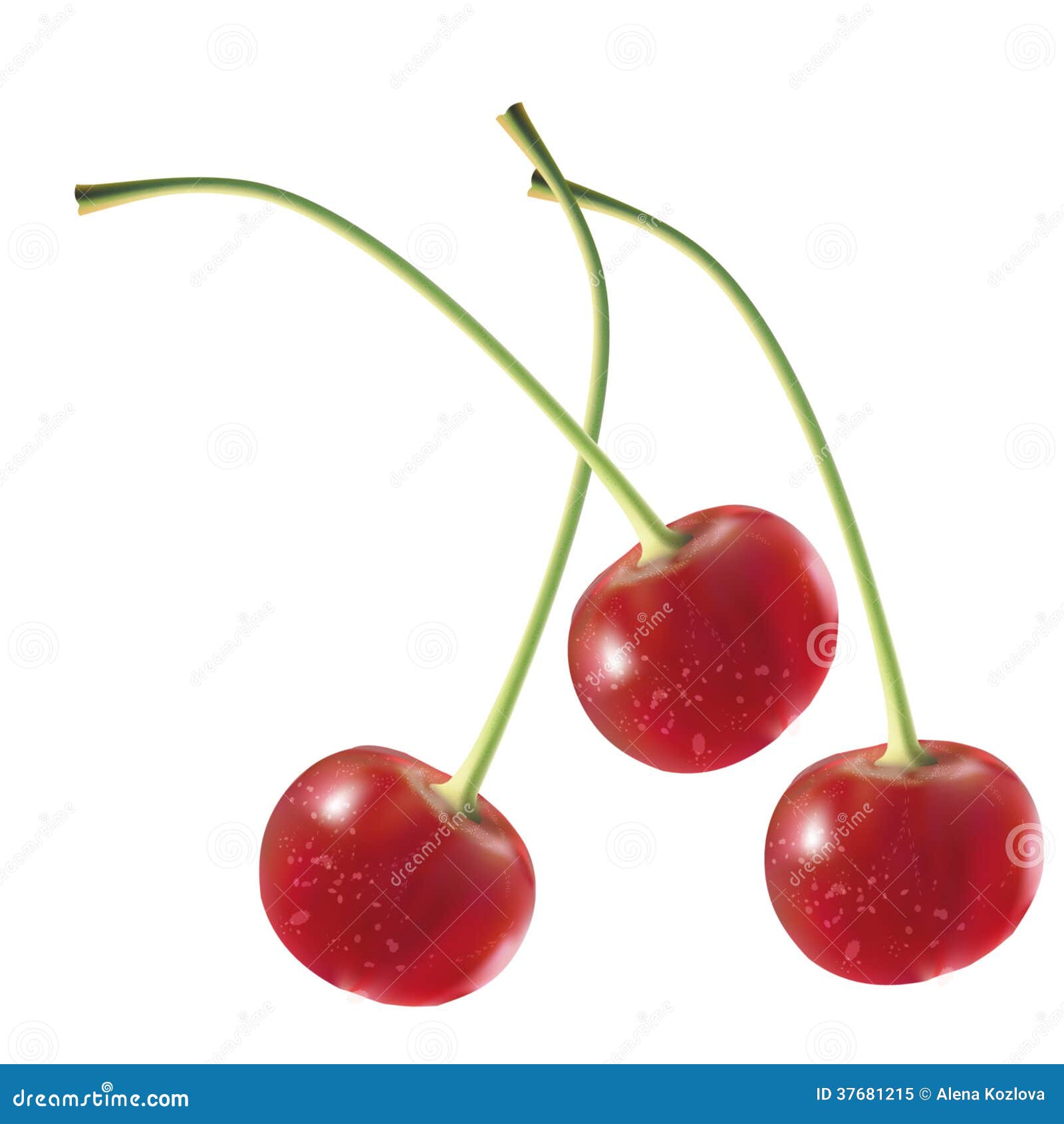 Three cherries stock illustration. Illustration of fruit - 37681215