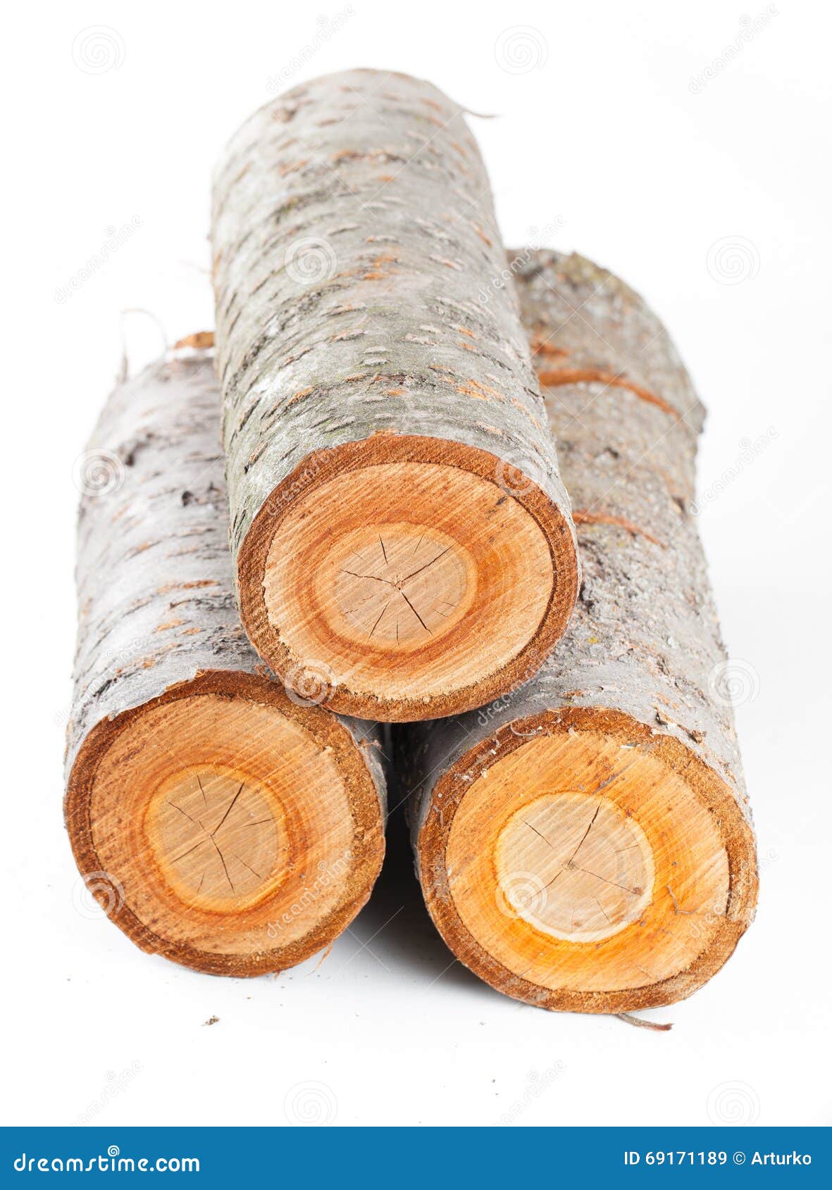 Three Cherry Tree Round Stub Logs Stock Photo | CartoonDealer.com #69170964