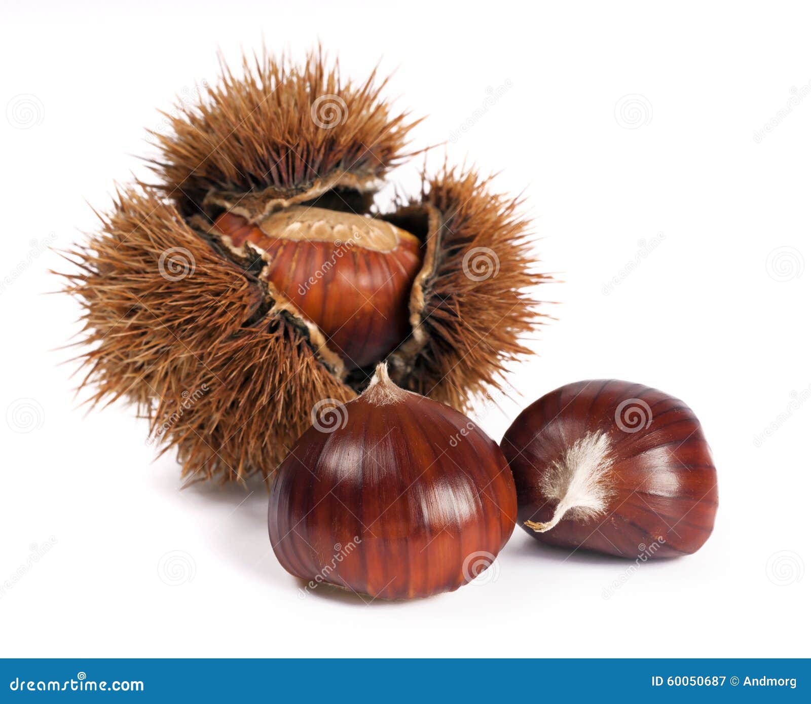 Three Chestnuts and Curly Chestnut Stock Image - Image of roasted, diet ...