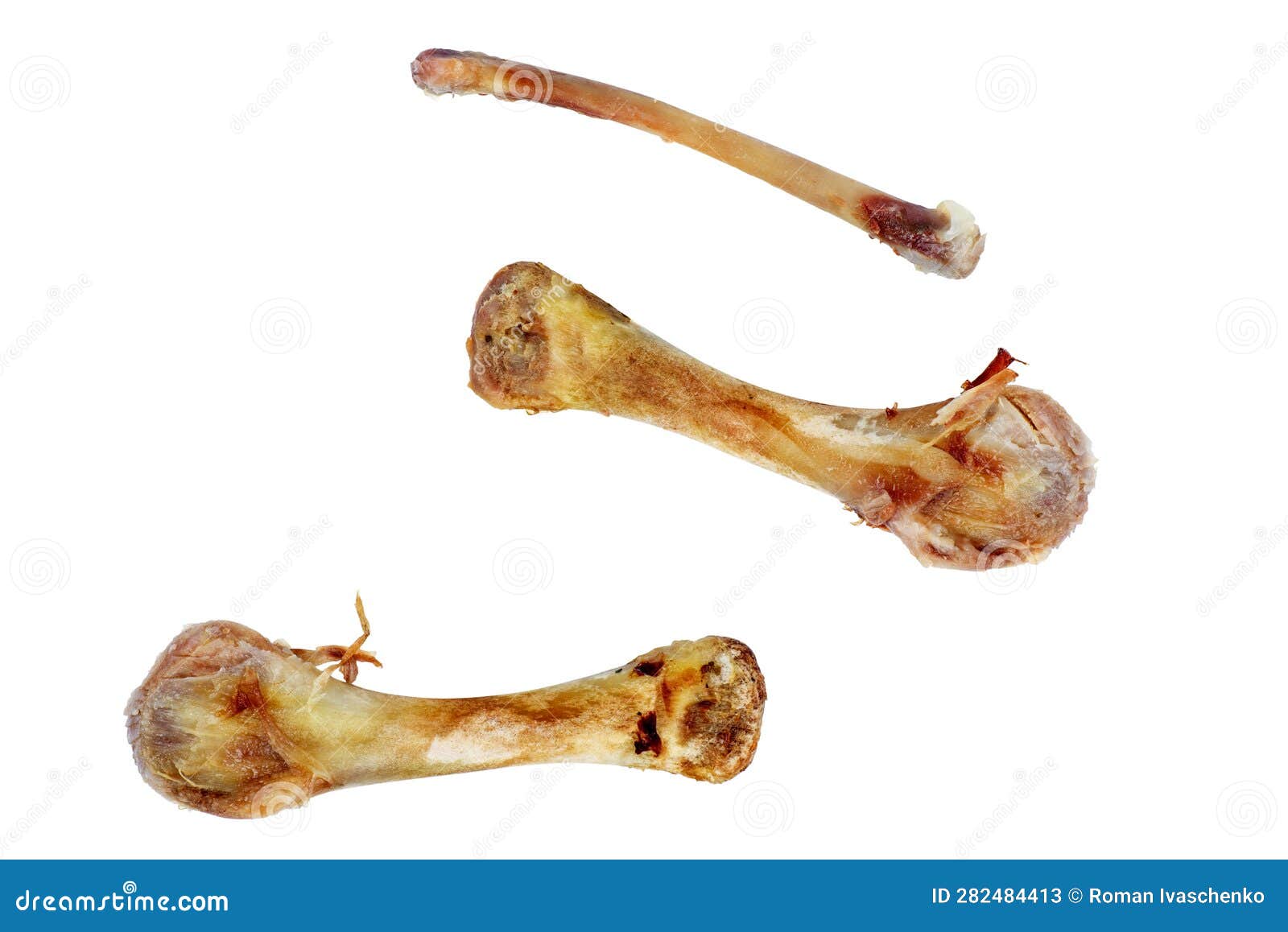 Three Chicken Bones Isolated on a White Stock Image - Image of meat ...