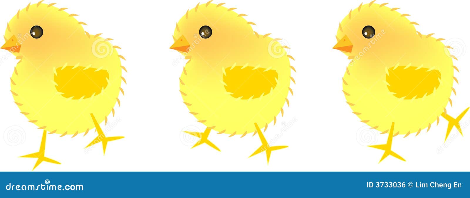 Three chicks stock vector. Illustration of farm, chicks - 3733036