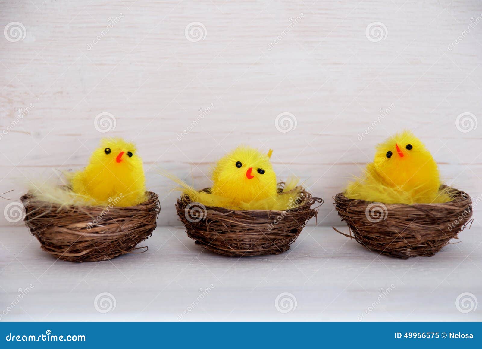 Three Chicks in Baskets with Copy Space Stock Image - Image of brown ...