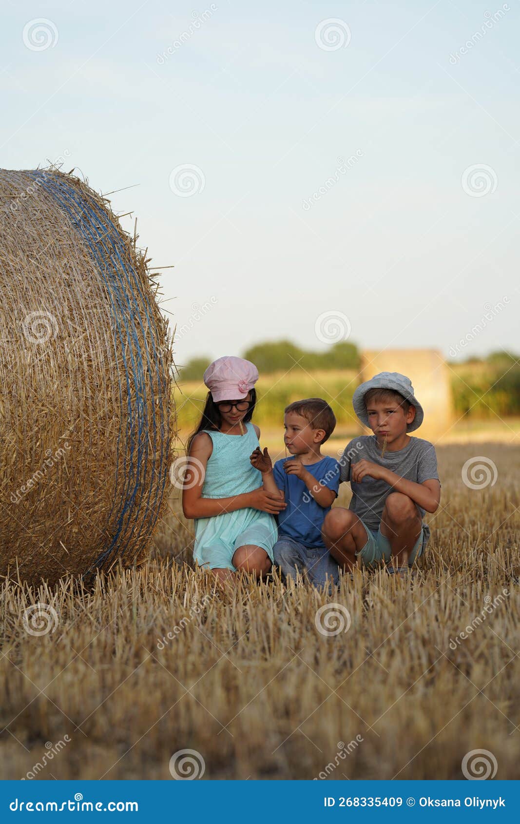 Three Children are High Under the Sky on a Haystack in the Hay Season ...