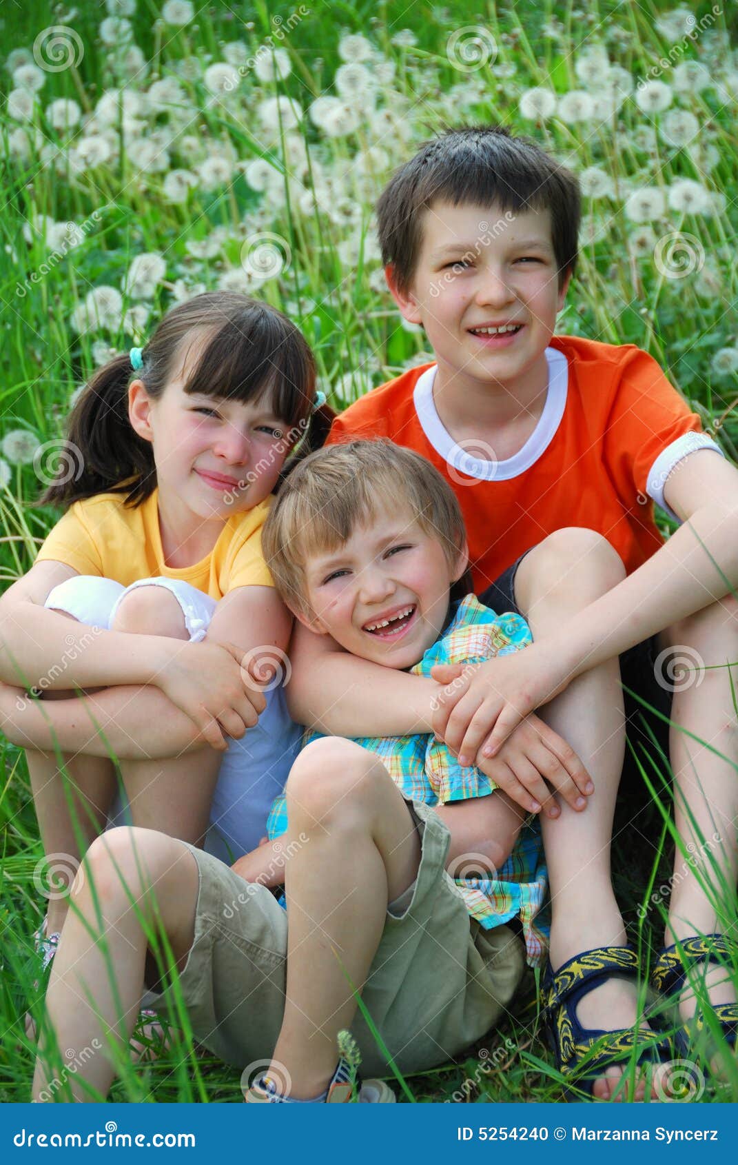 Three Children in Meadow stock photo. Image of happy, field - 5254240