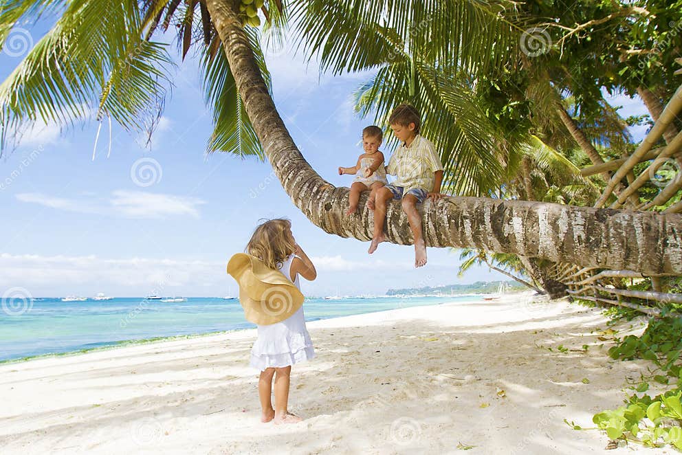 Three Children on Palm Tree Stock Image - Image of baby, coast: 28298903
