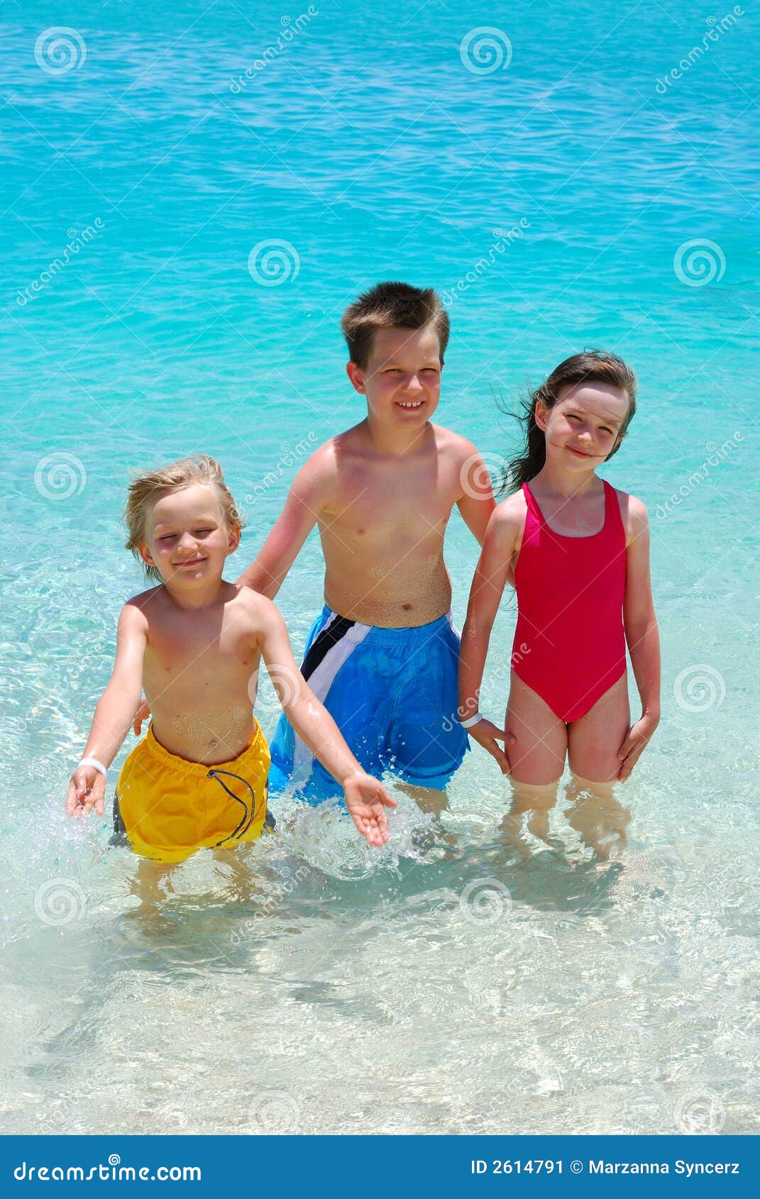 Three Waders On The Mudflats In The Taw Torridge Estuary, North Devon ...